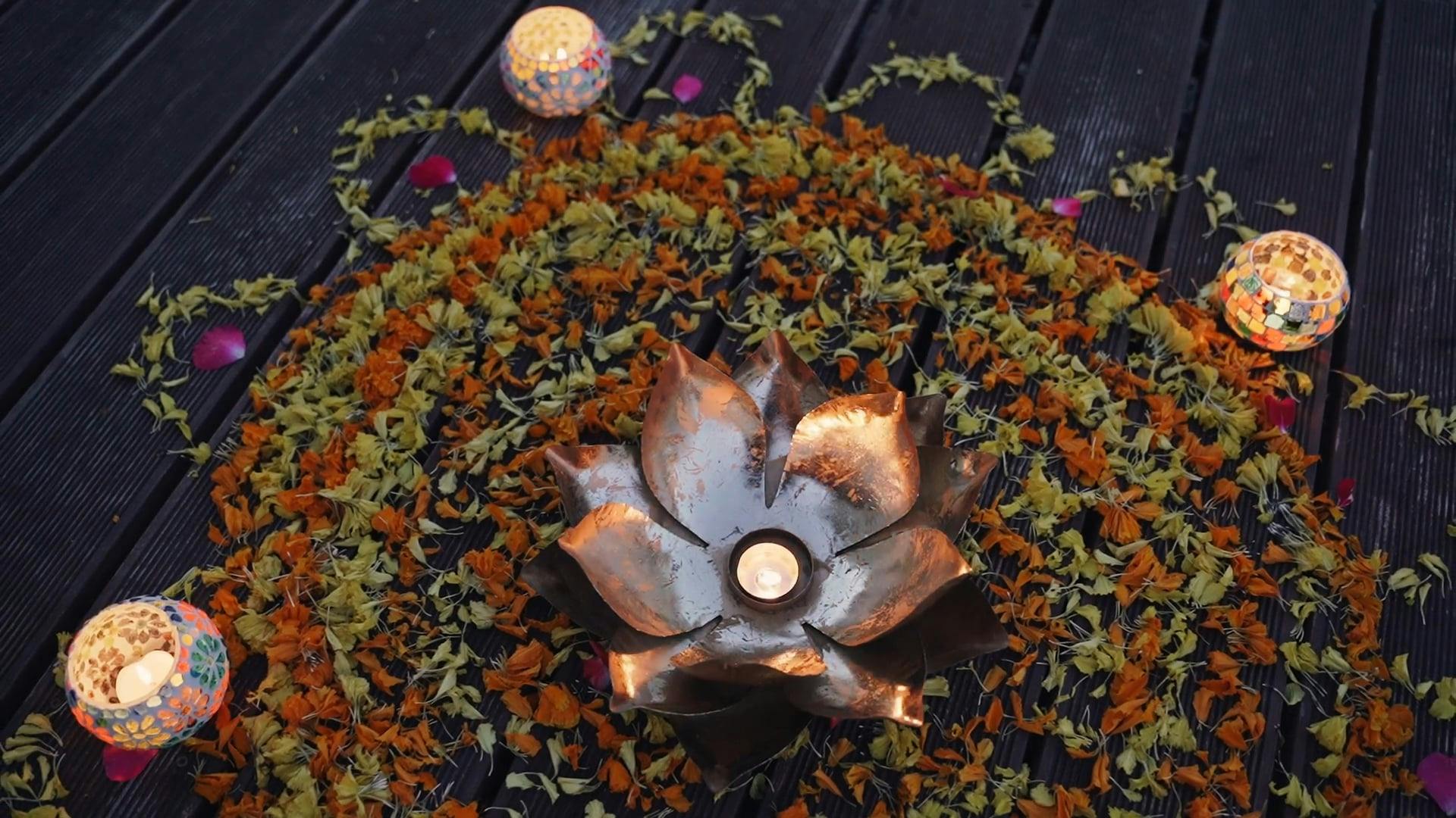 Night Lotus Videos, Download The BEST Free 4k Stock Video Footage ...