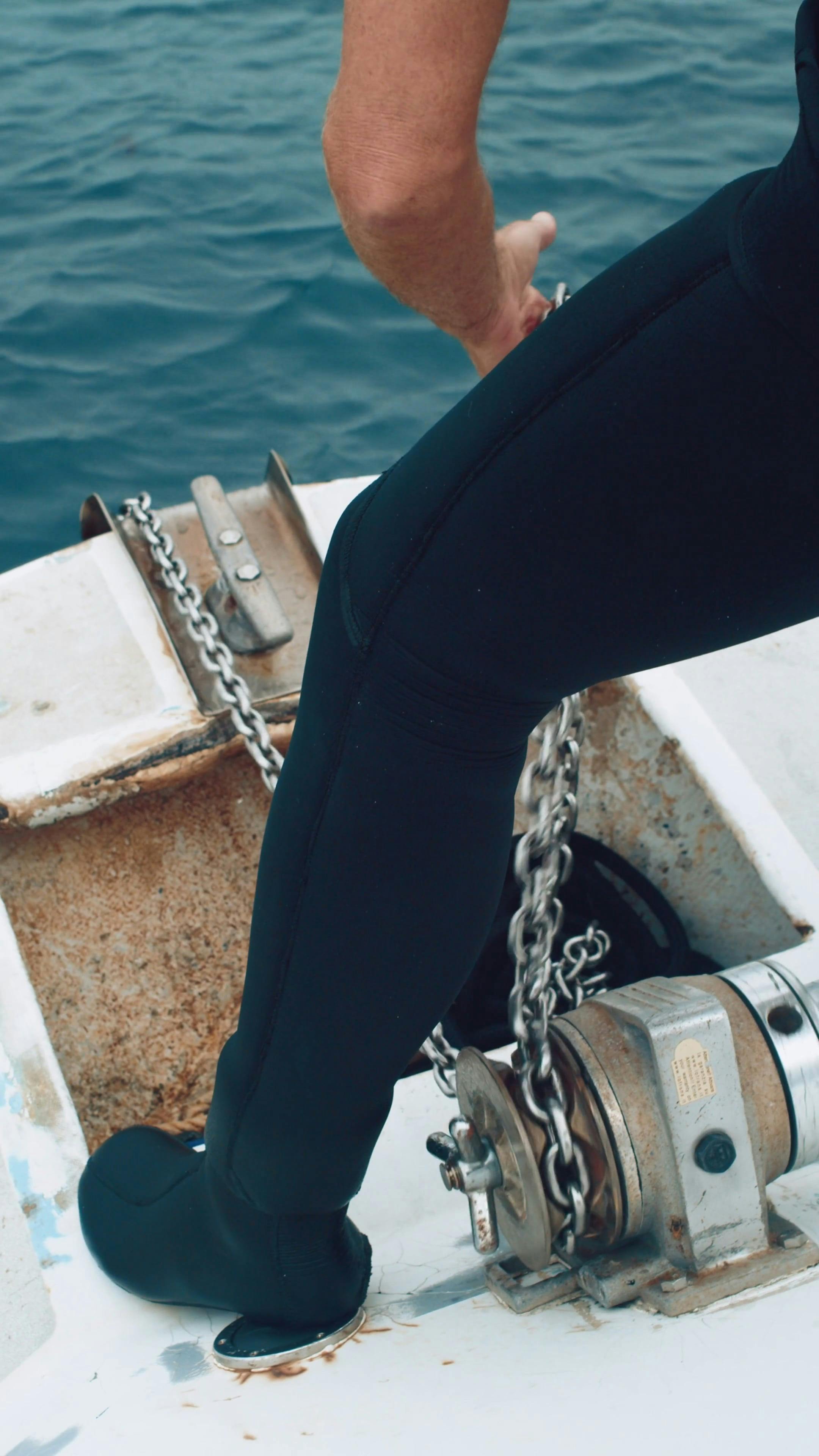 Dwarf Chain Fish Videos, Download The BEST Free 4k Stock Video Footage ...