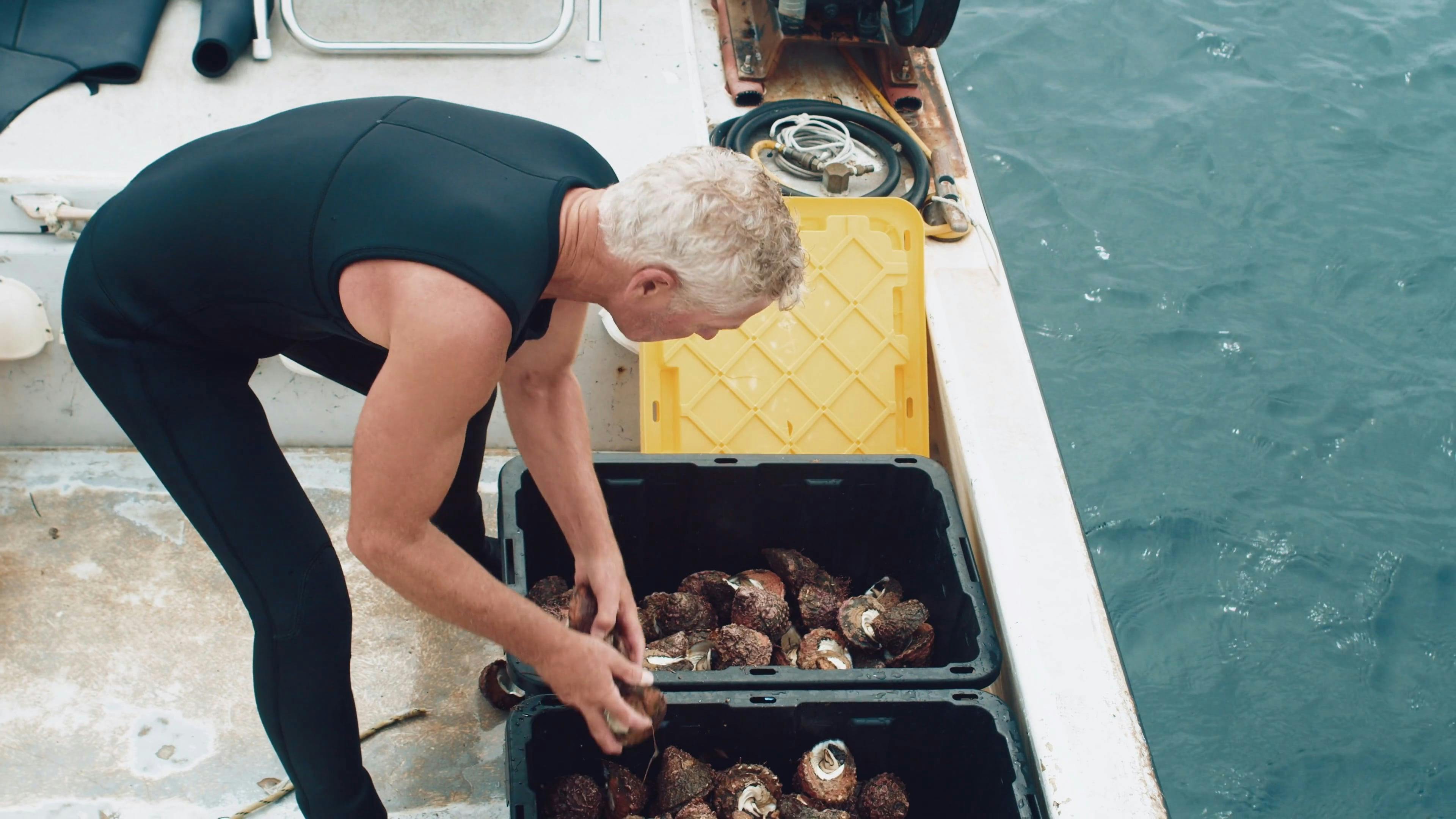 Us Seafood Videos, Download The BEST Free 4k Stock Video Footage & Us ...