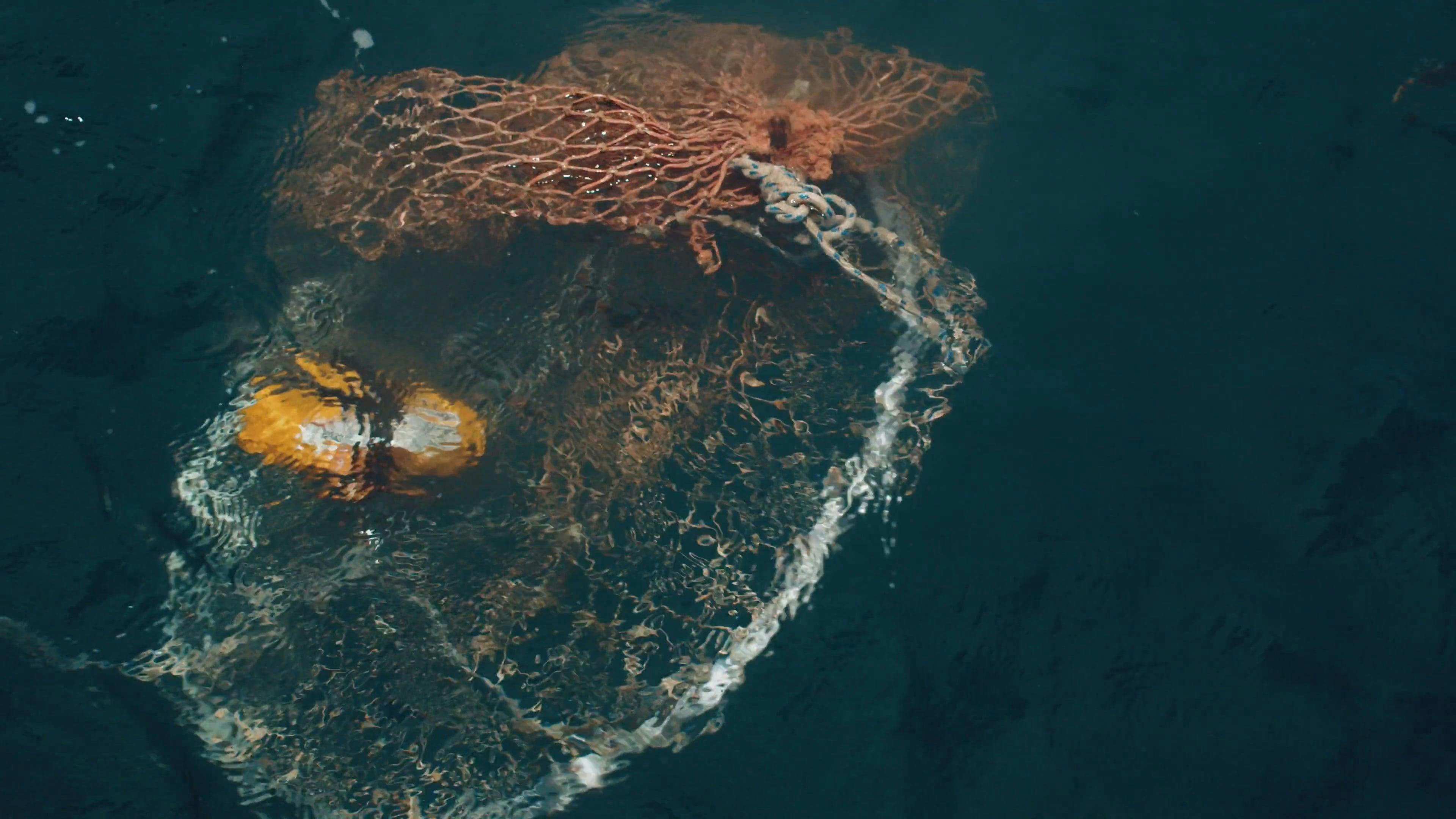 Underwater Pollution Videos, Download The BEST Free 4k Stock Video ...