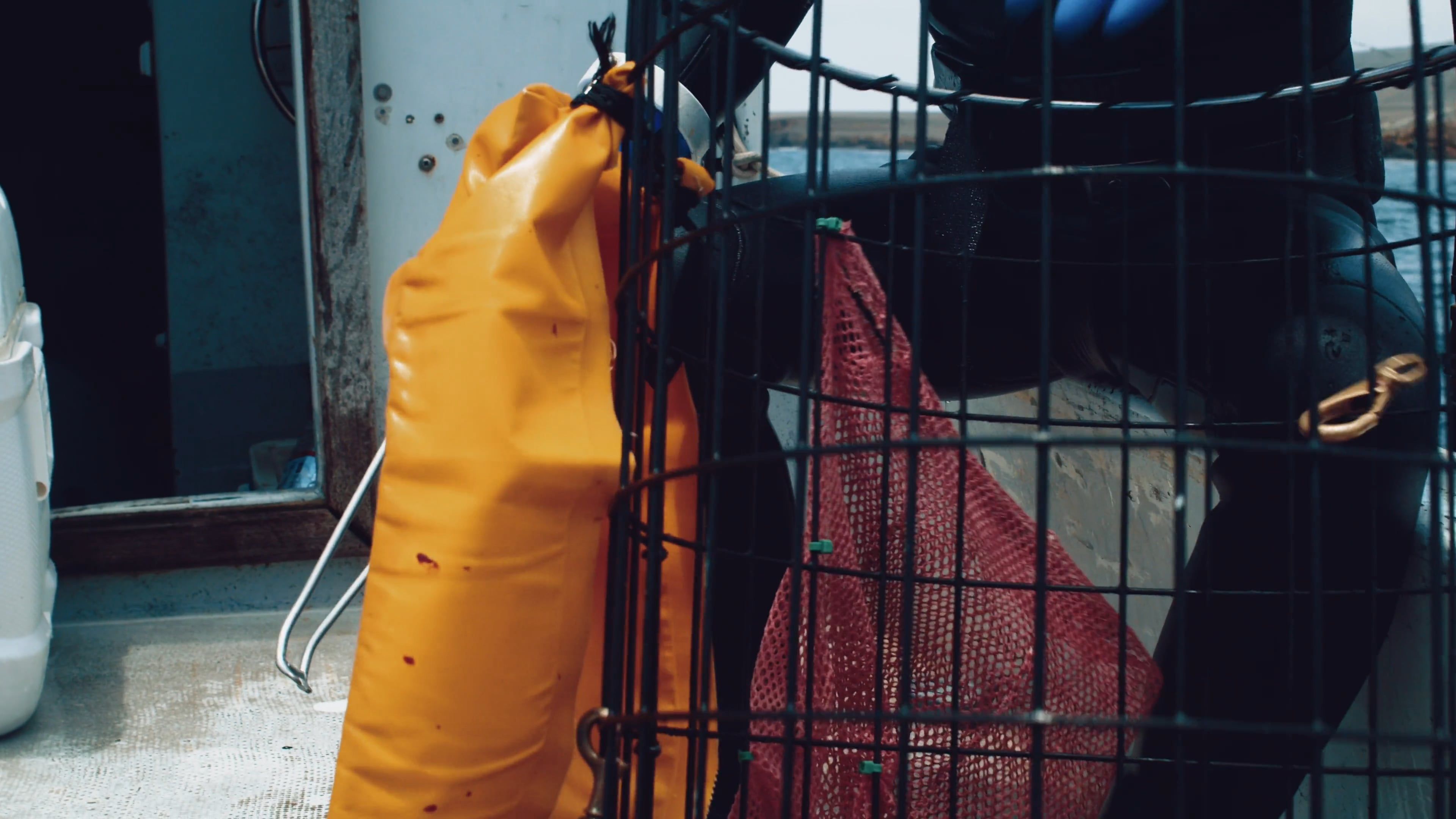 A Person Diving in the Water with a Cage · Free Stock Video