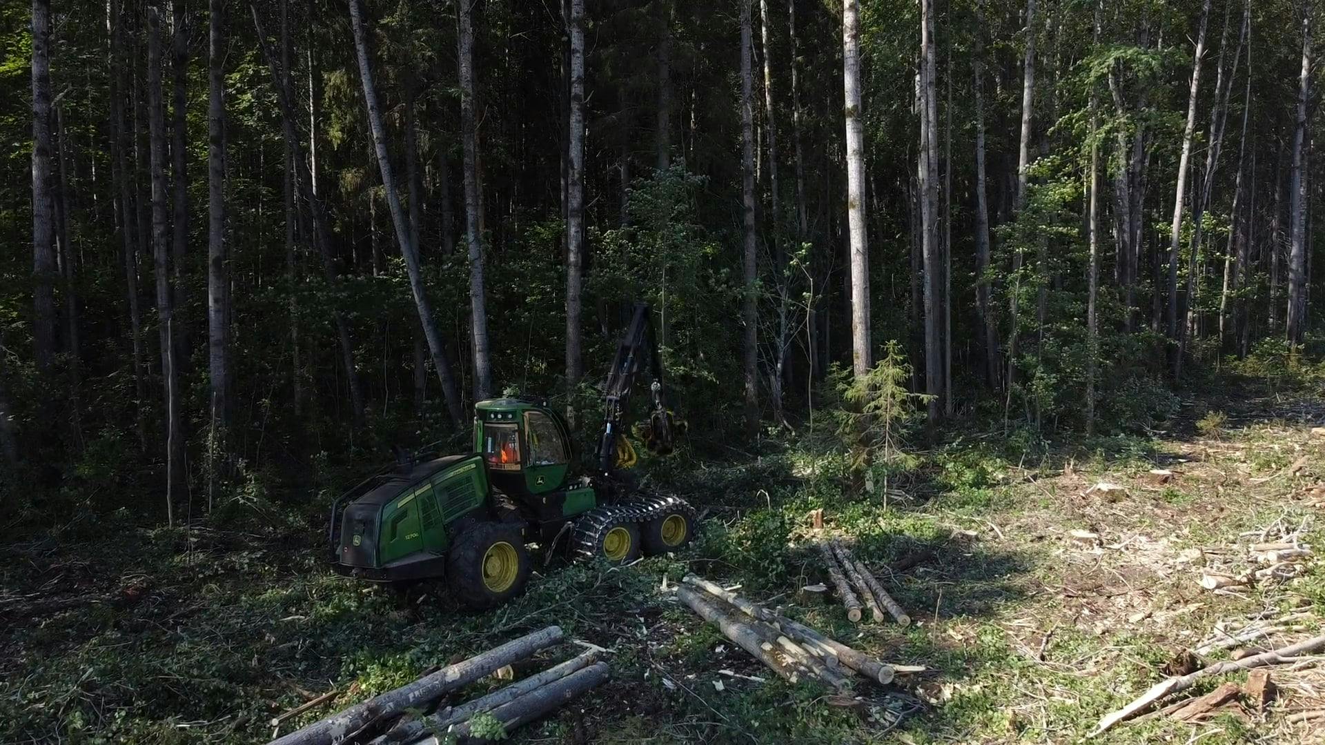 Logging Vehicle Videos, Download The BEST Free 4k Stock Video Footage ...