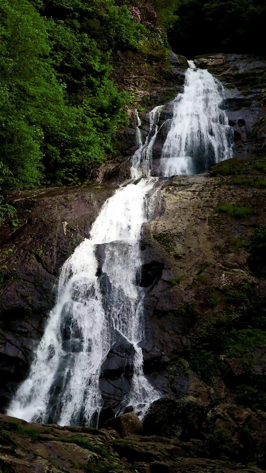 Waterfall in the Forest Free Stock Video Footage, Royalty-Free 4K & HD ...