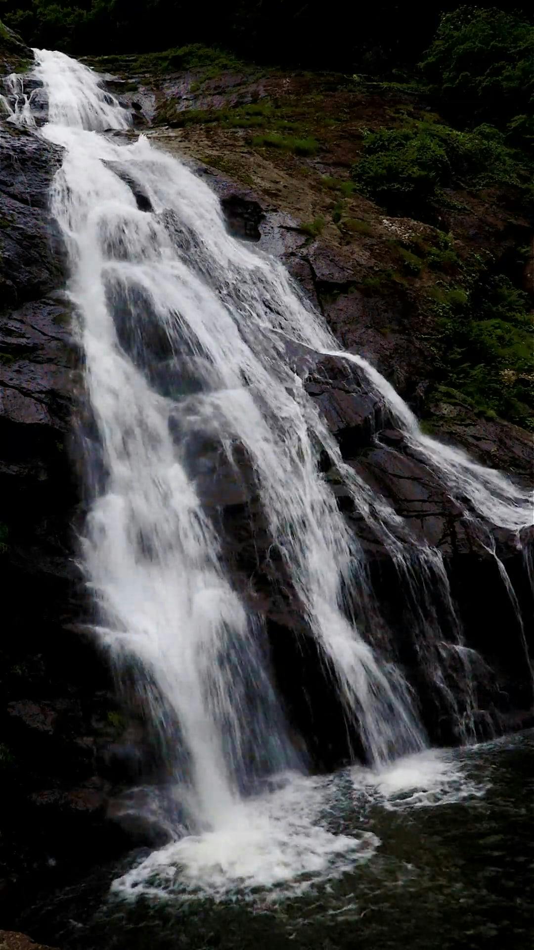 A Group Of People Swimming In The Waterfalls Basin Free Stock Video ...