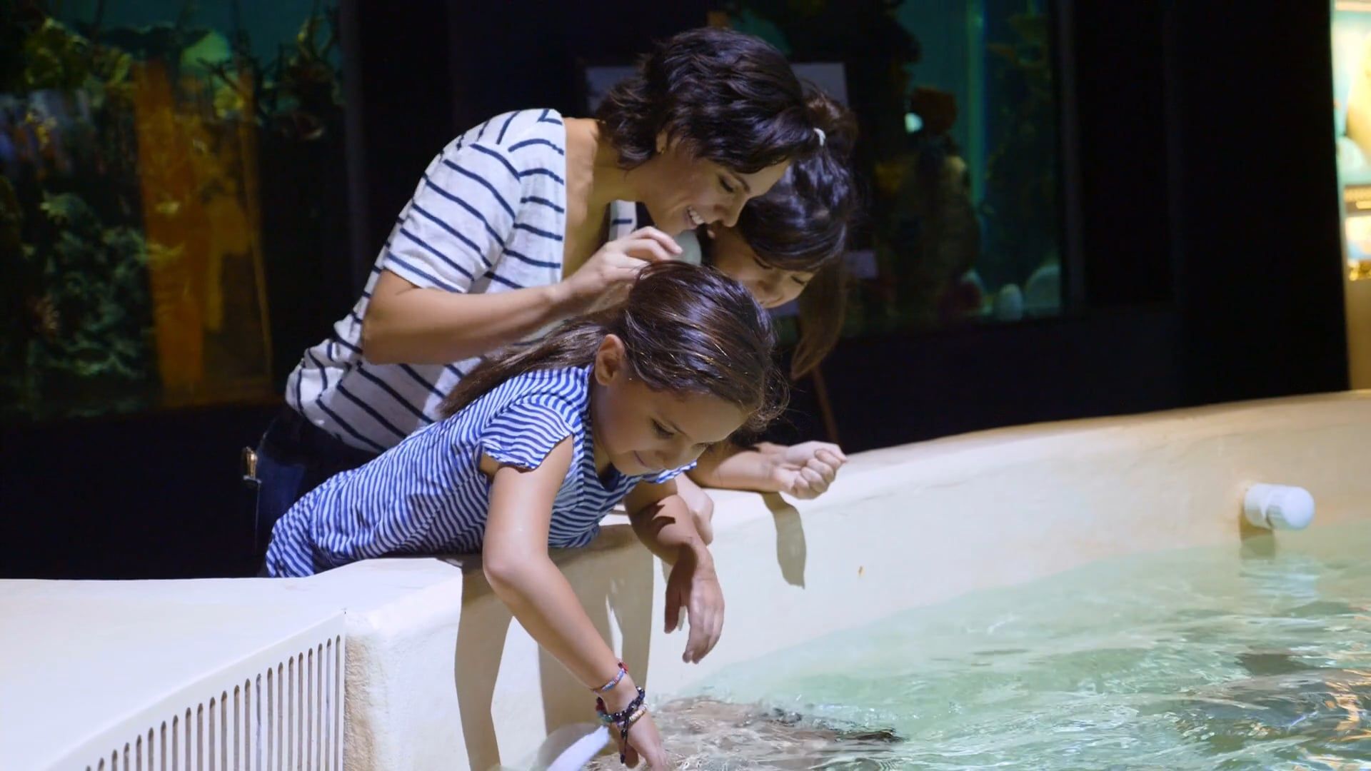 Kids Touching the Stingrays Free Stock Video Footage, Royalty-Free 4K ...