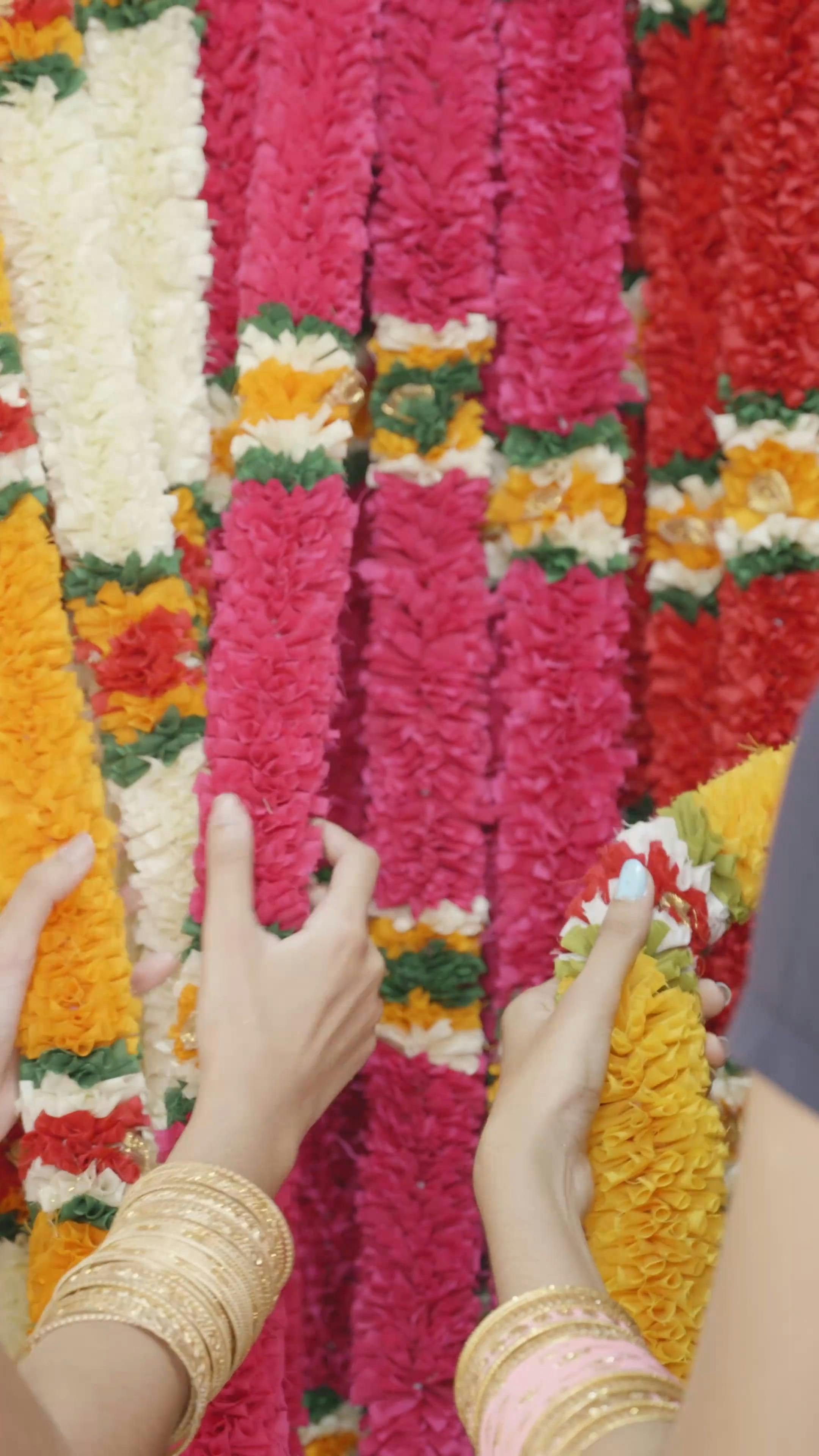 Multiple Color Flowers Videos, Download The BEST Free 4k Stock Video ...