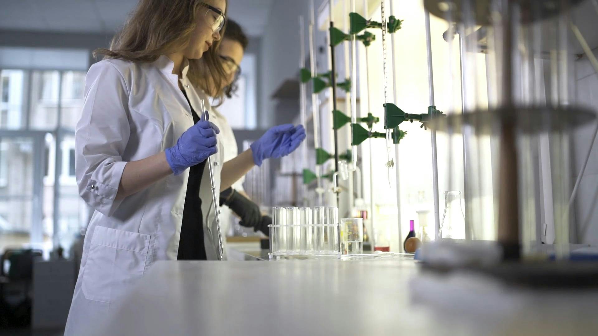 Woman Organizing Laboratory Apparatus Free Stock Video Footage, Royalty ...