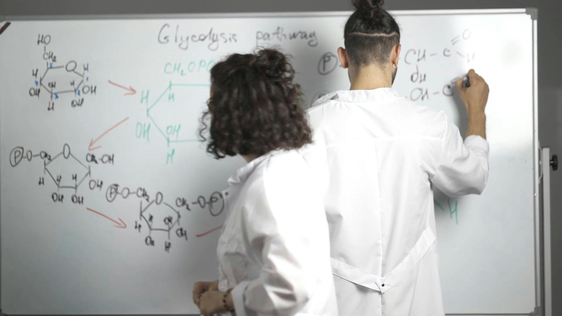 Chemists Writing Chemical Symbols on a White Board Free Stock Video ...