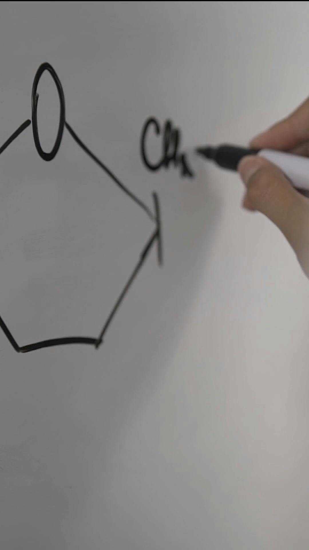 1+ Besten Ch Kotsenlose Videos · Lizenzfreie Videos · Pexels Stock Videos