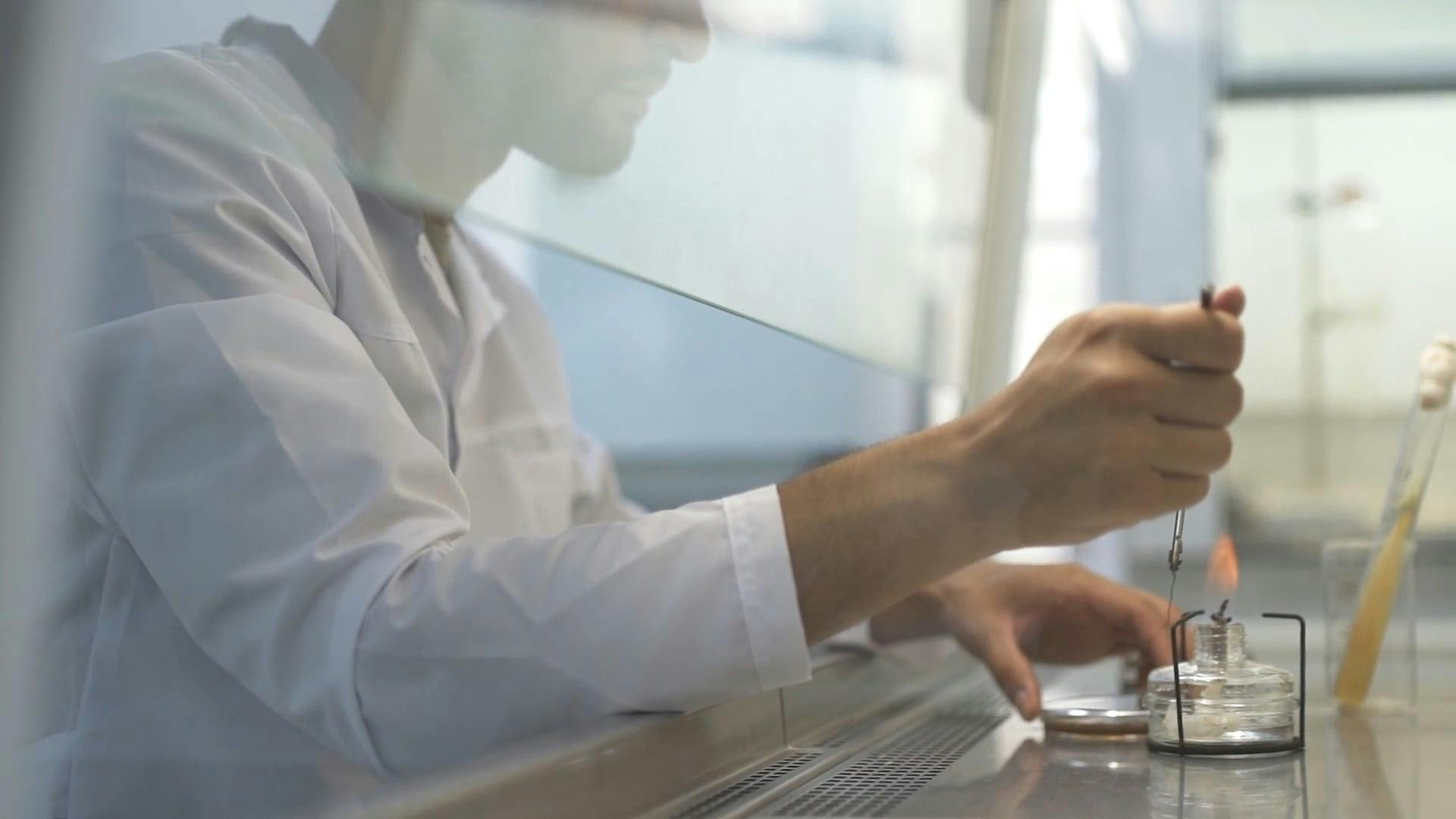 Person Experimenting in Laboratory Free Stock Video Footage, Royalty ...