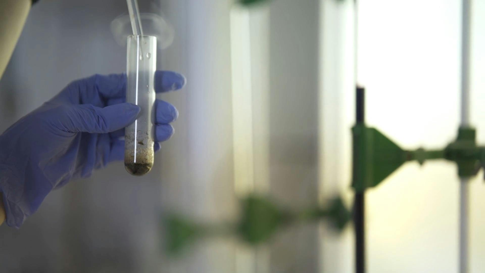 Fluid Sample Videos, Download The BEST Free 4k Stock Video Footage ...