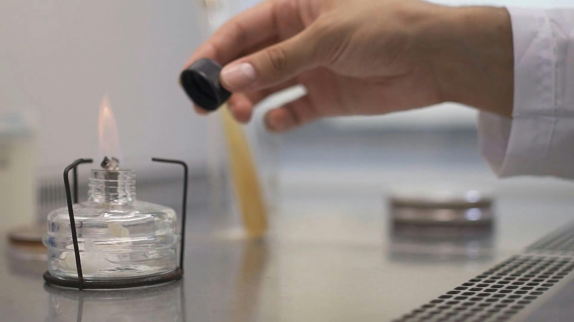 Video stok gratis tentang api, barang pecah belah, belajar, dalam ...