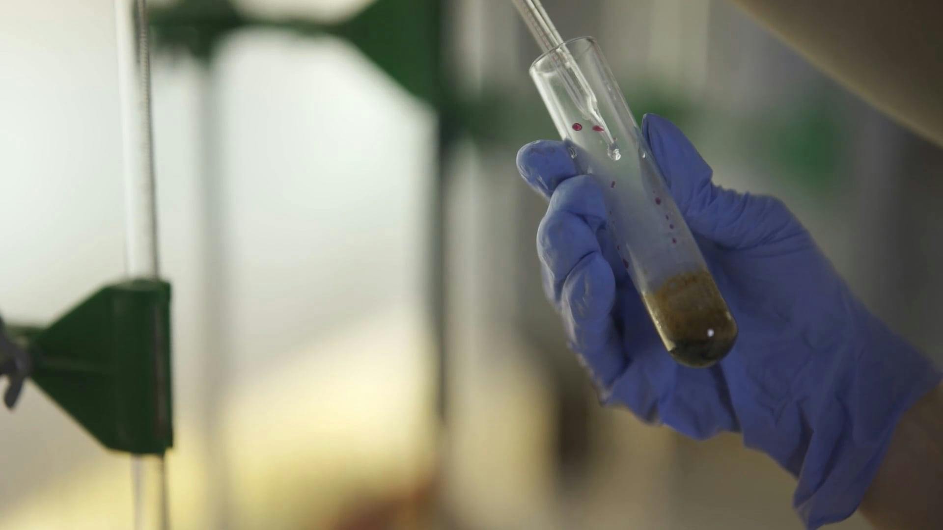 A Person Transferring Boiling Chemical on a Test Tube Using Pipette ...