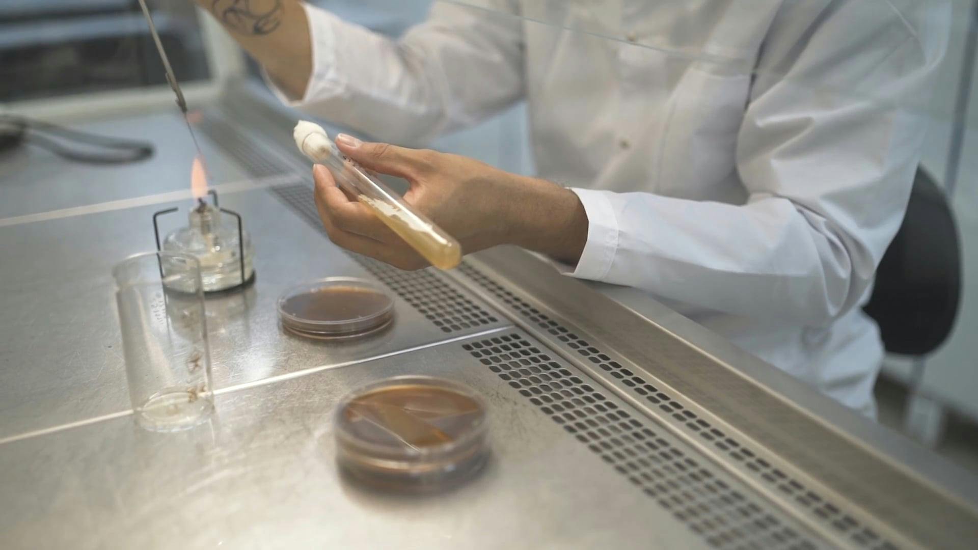 Sample Loops Videos, Download The BEST Free 4k Stock Video Footage ...