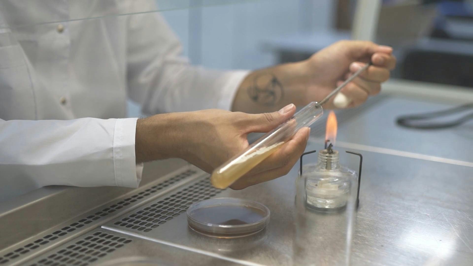 Person Experimenting in Laboratory Free Stock Video Footage, Royalty ...