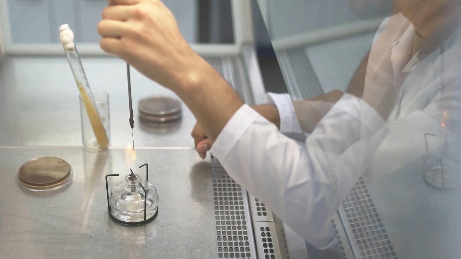 Person Experimenting in Laboratory Free Stock Video Footage, Royalty ...