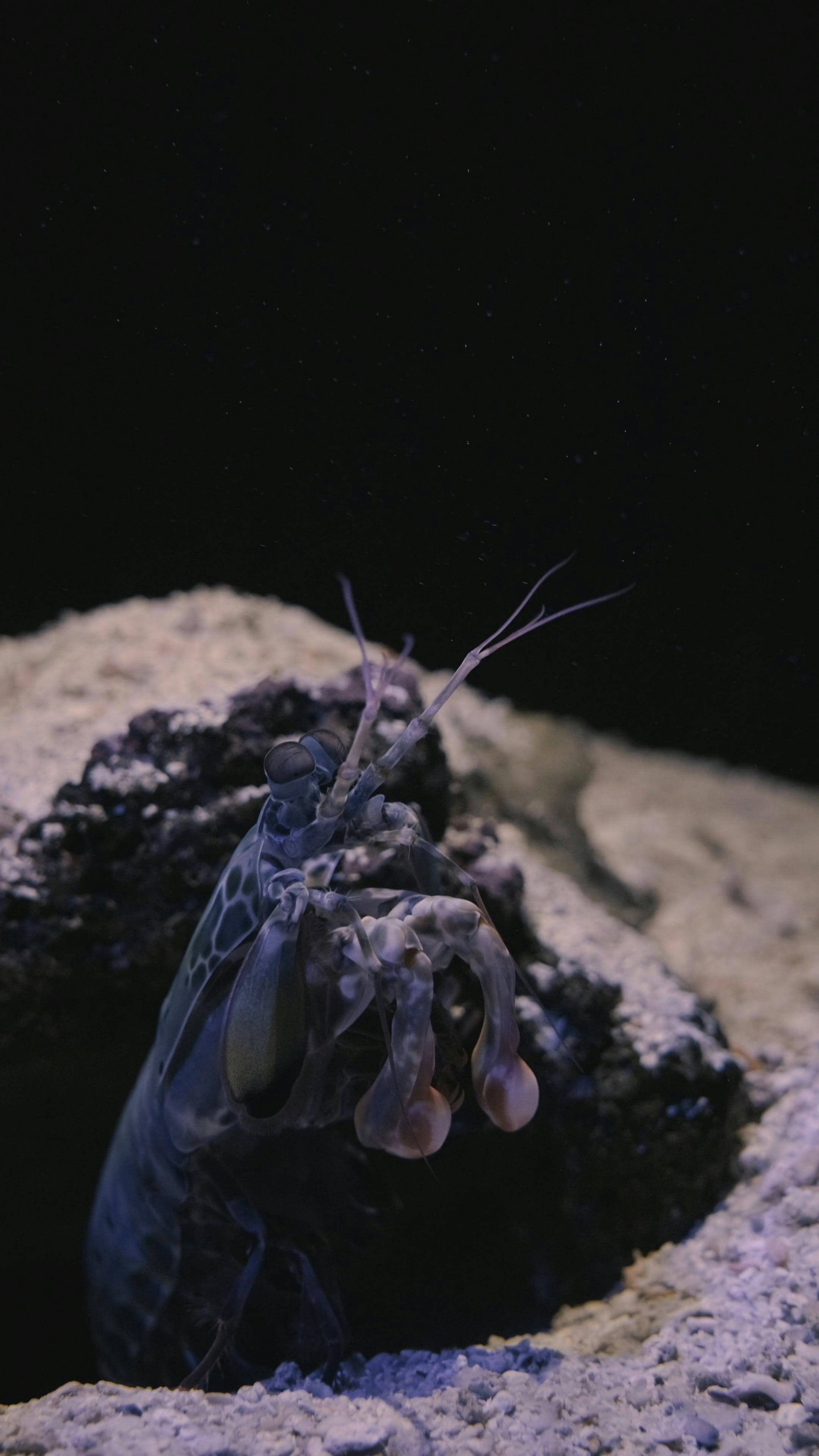 Rachel Claire - 摄影