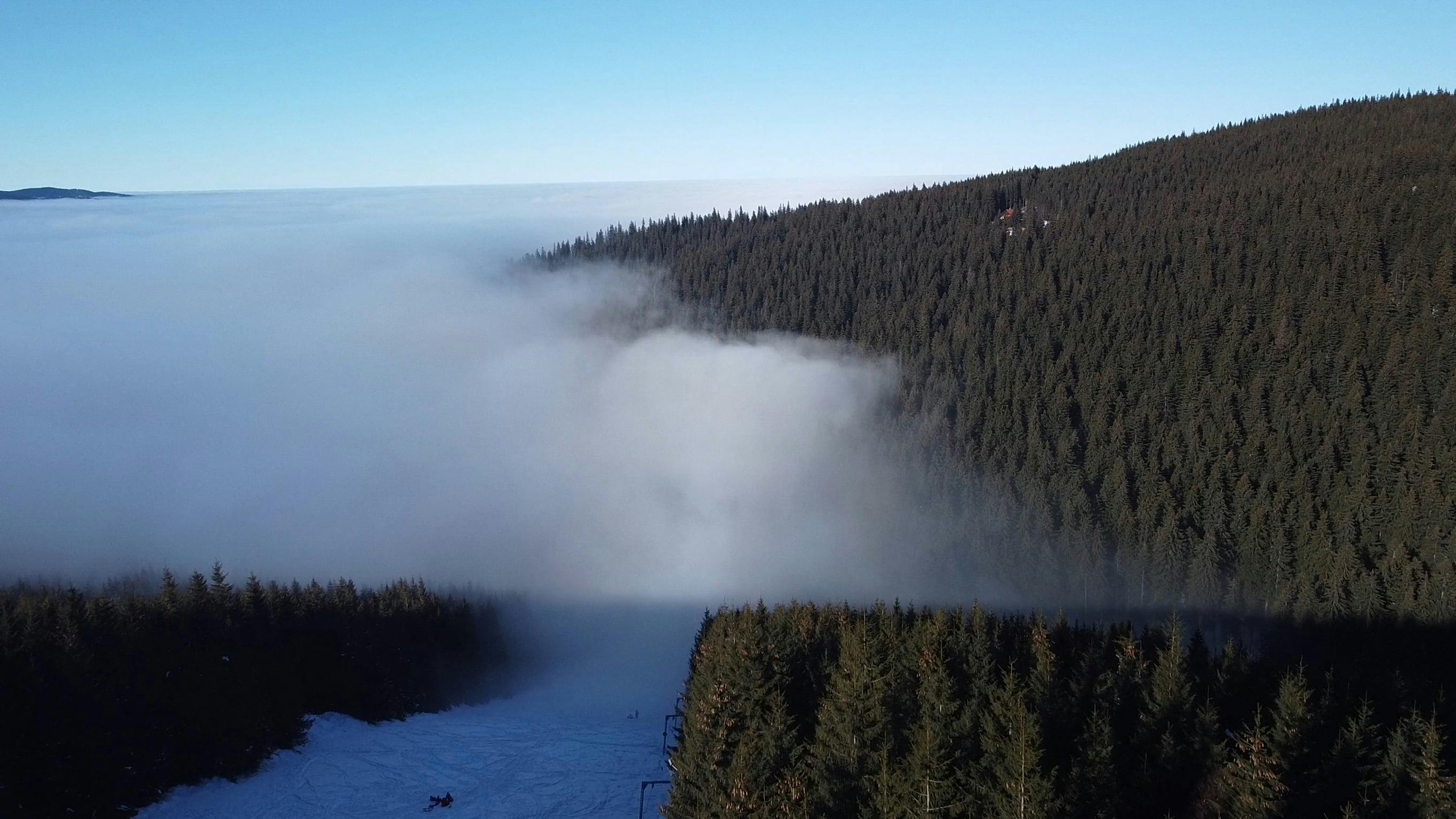 Aerial Footage Of a Foggy Area Full of Trees · Free Stock Video