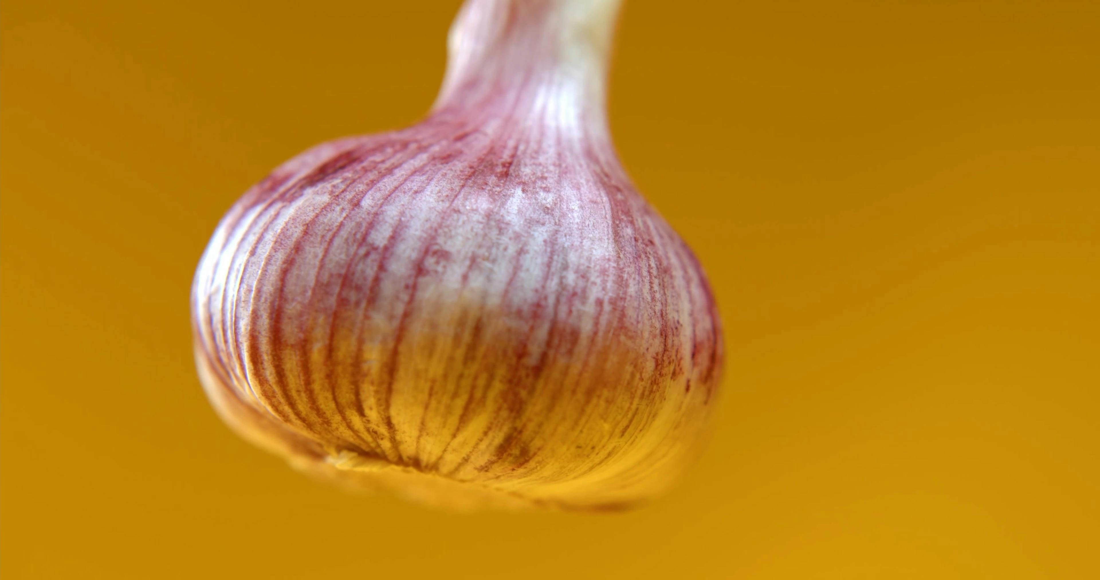 Garlic Yellow Background Videos, Download The BEST Free 4k Stock Video ...