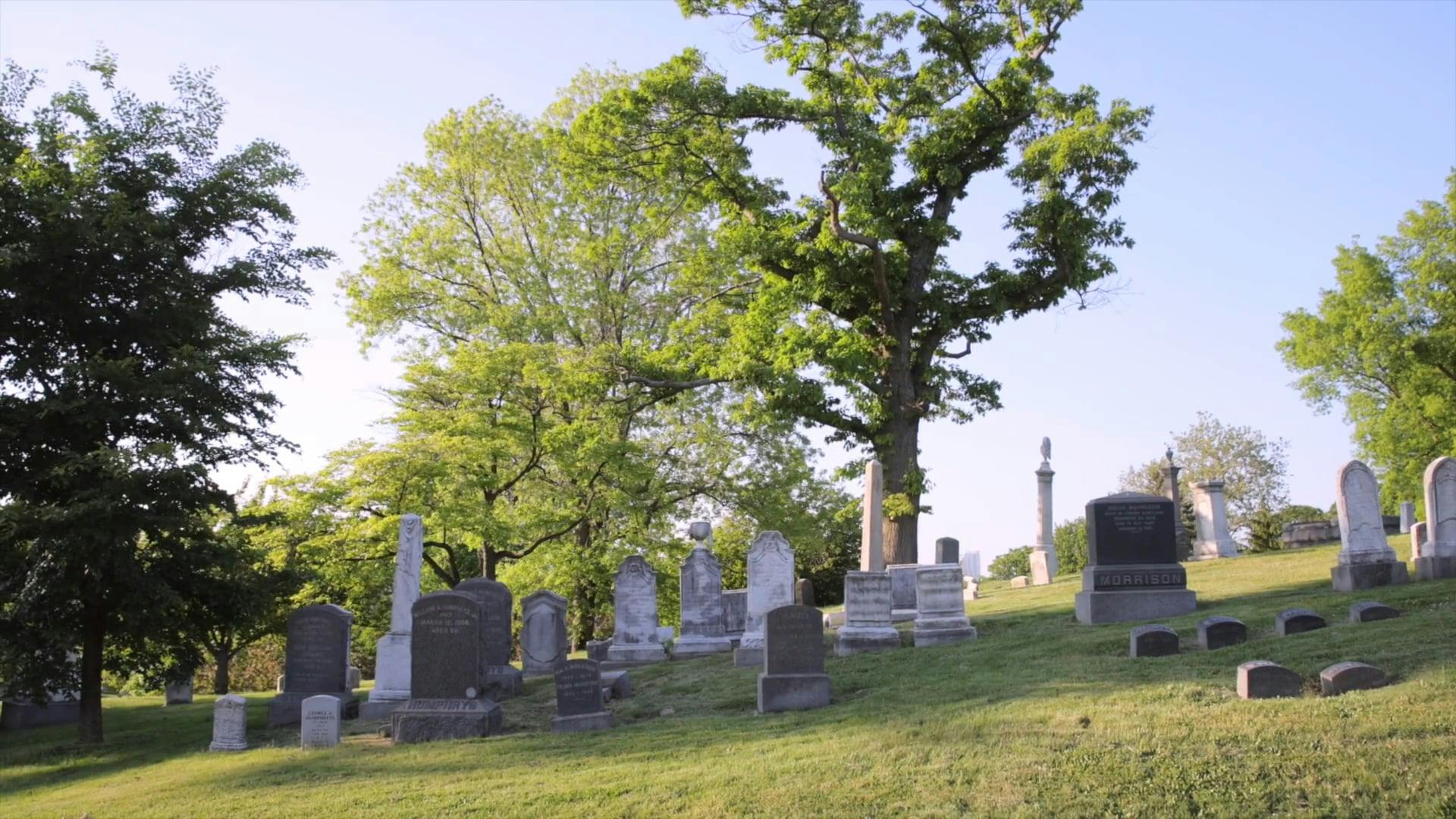 Video gratuito di alberi, cimitero, erba