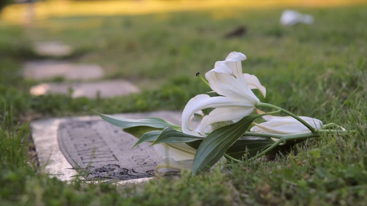Funeral Videos, Download The BEST Free 4k Stock Video Footage & Funeral ...