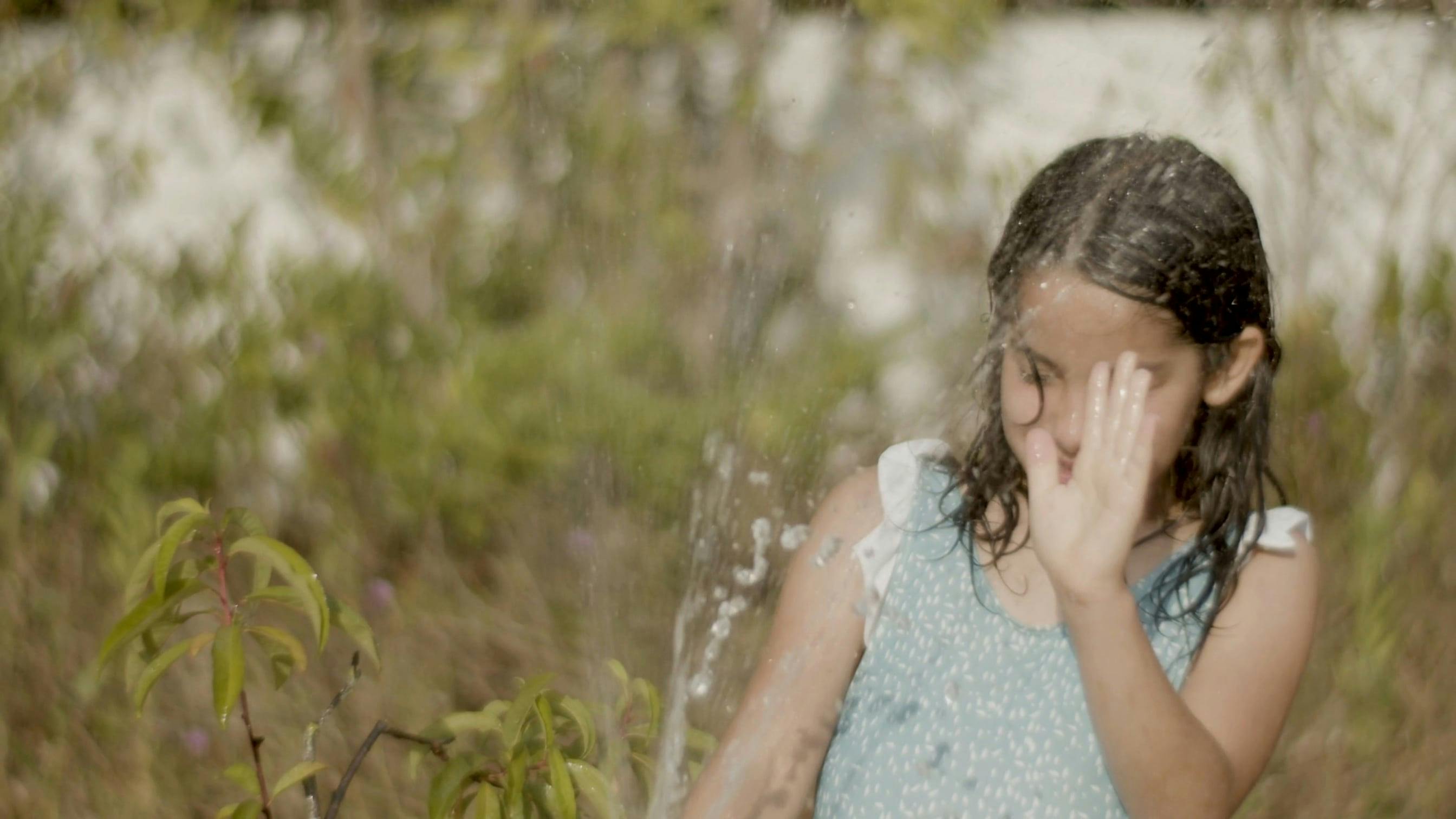 Peri Peri Sprinkler Videos, Download The BEST Free 4k Stock Video ...