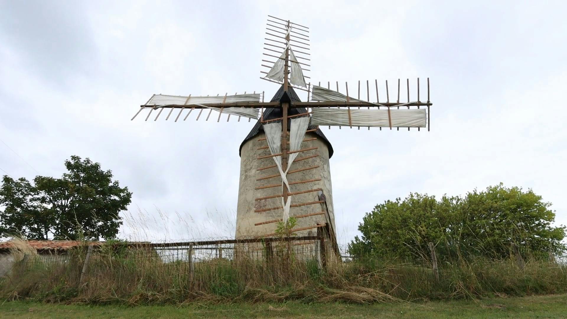 A Windmill In Operation For Renewable Energy Production · Free Stock Video