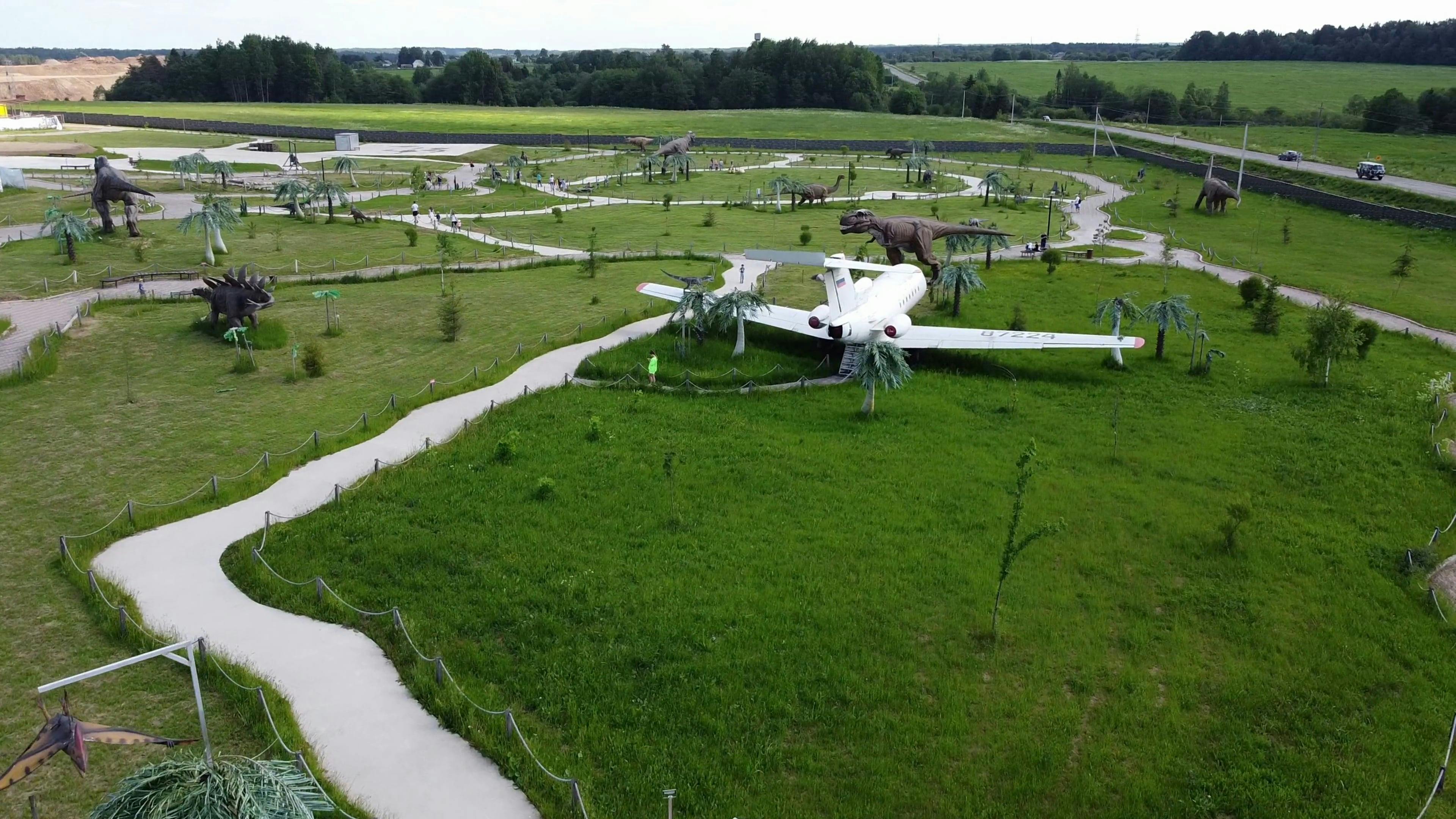 Dinosaur Paths Videos, Download The BEST Free 4k Stock Video Footage ...