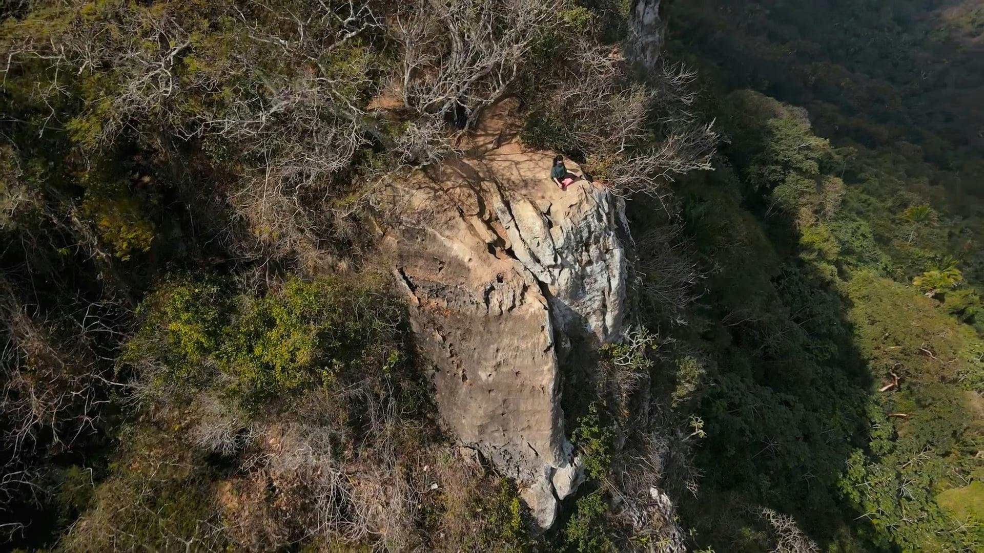 Forest Cliff Videos, Download The BEST Free 4k Stock Video Footage ...