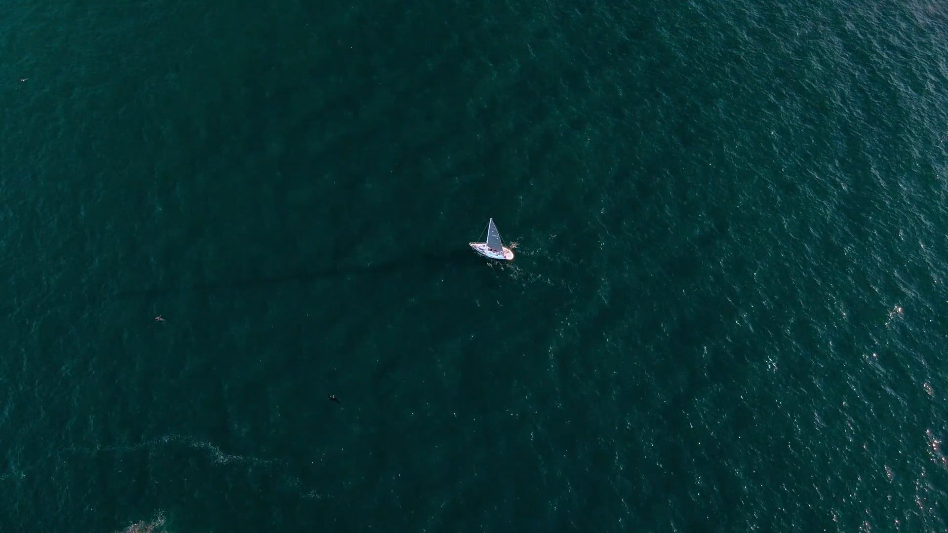 Drone Footage of a Boat Sailing Free Stock Video Footage, Royalty-Free ...