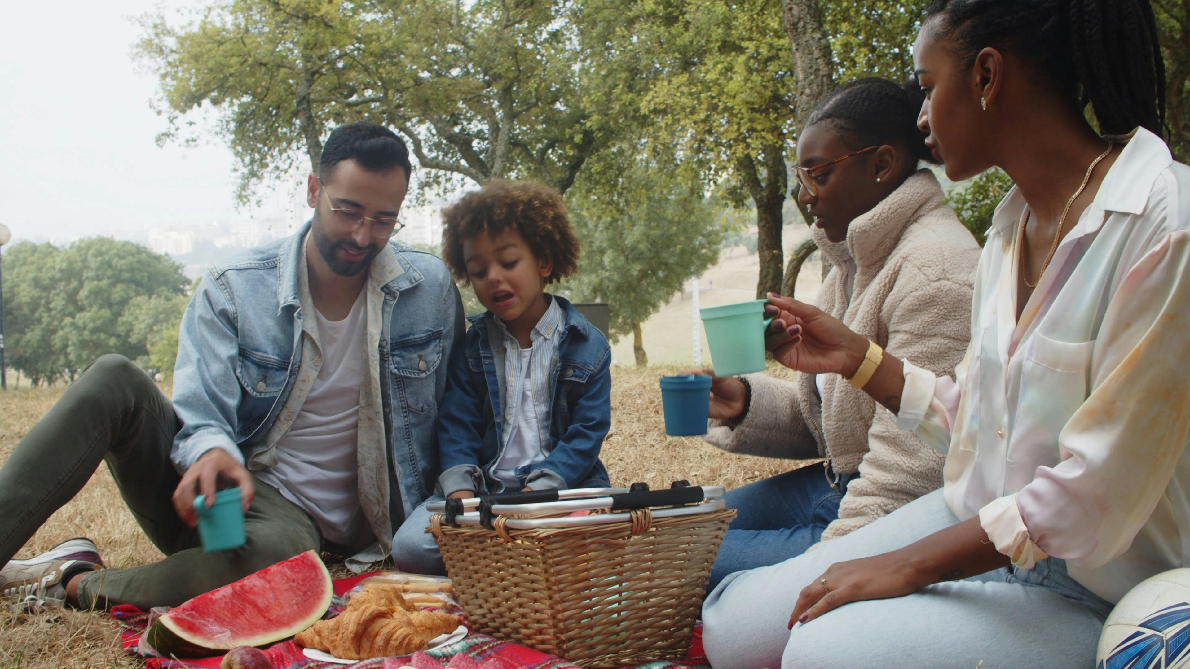 Indian Family Picnic Videos, Download The BEST Free 4k Stock Video ...