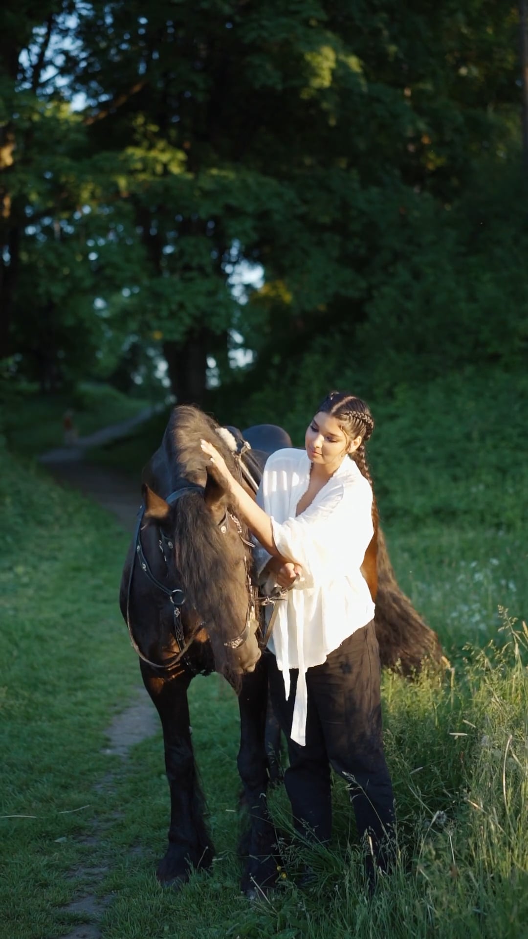 Care Equine Videos, Download The BEST Free 4k Stock Video Footage ...