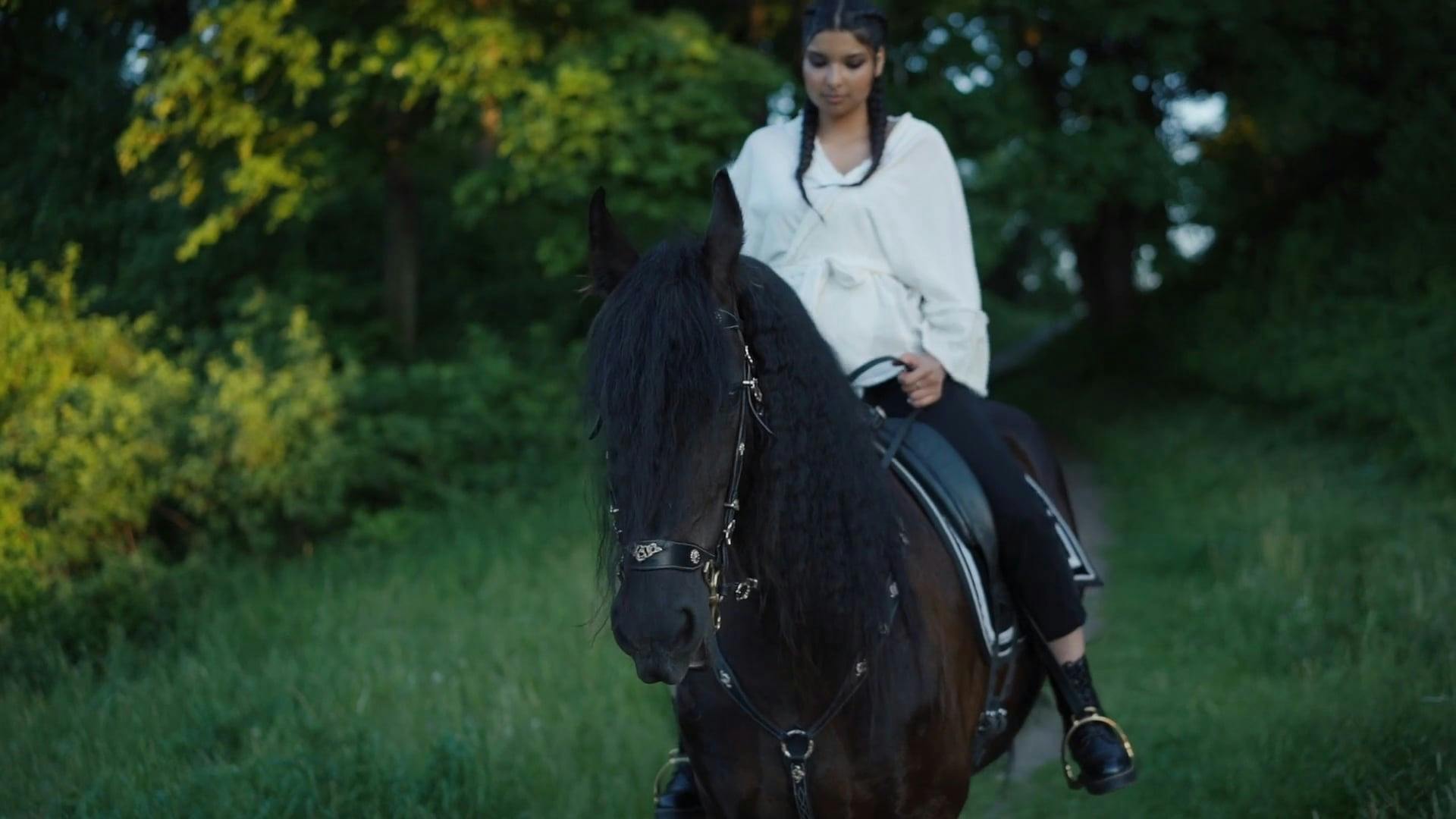 Vídeos de stock gratuitos sobre actividad al aire libre, al aire libre ...