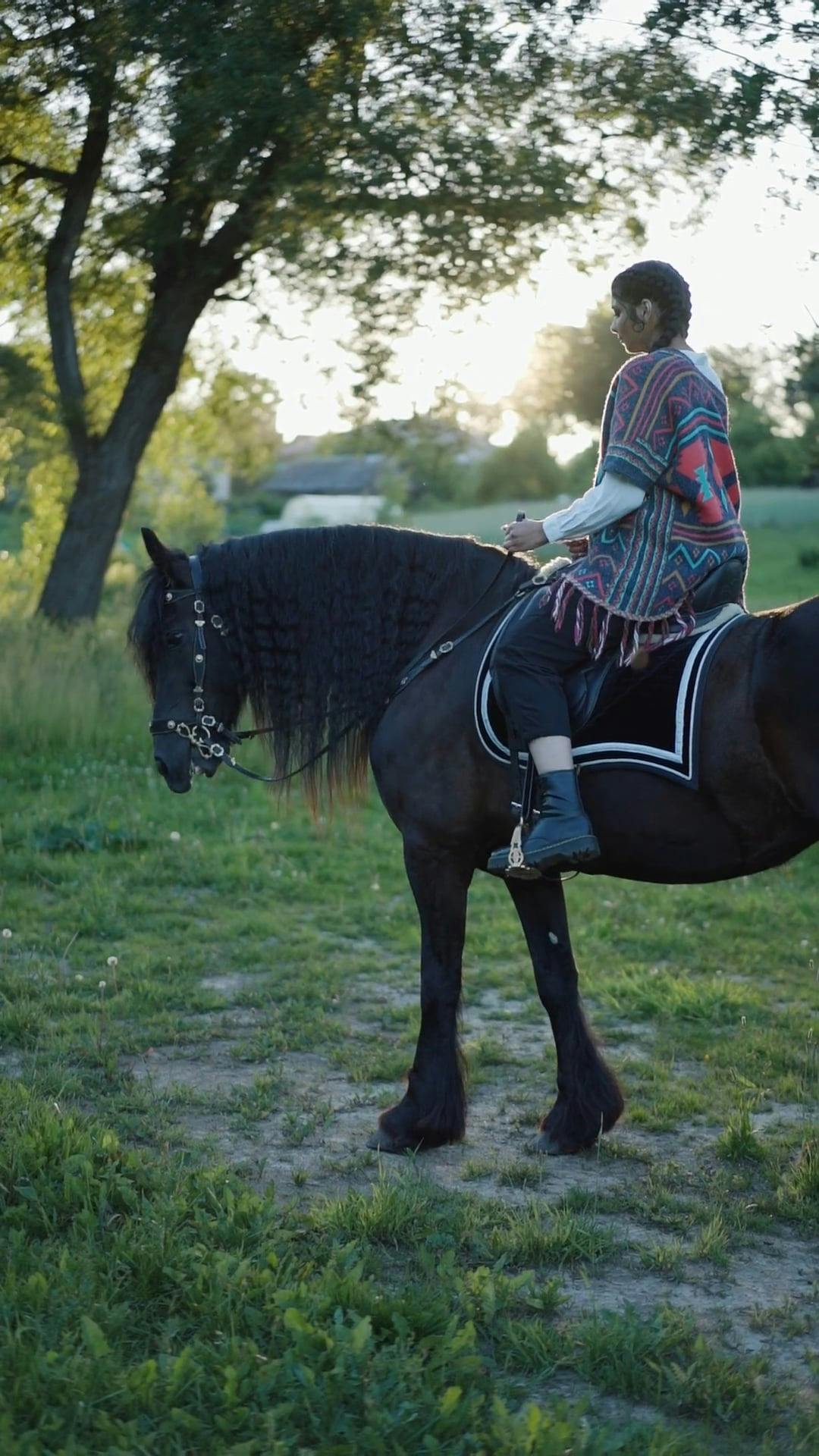 Horse Garments Videos, Download The BEST Free 4k Stock Video Footage ...