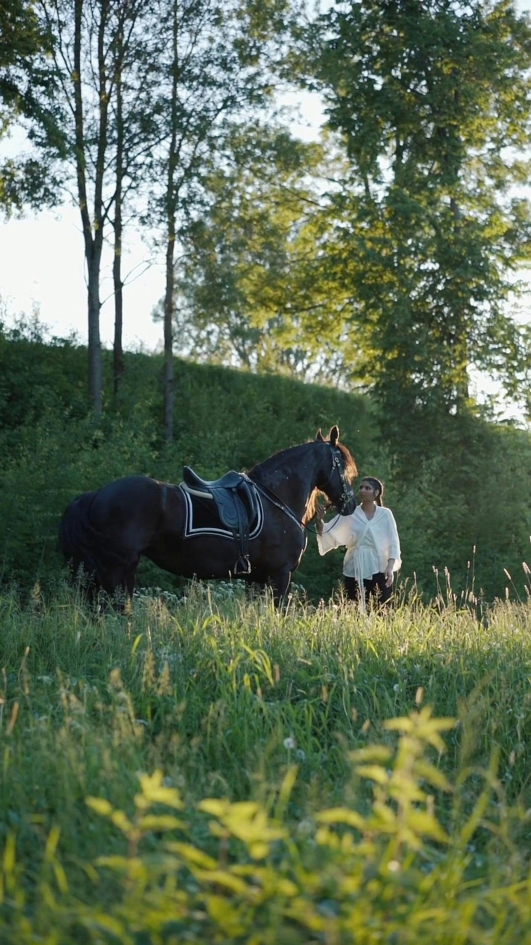 Indian Horse Riding Videos, Download The BEST Free 4k Stock Video ...