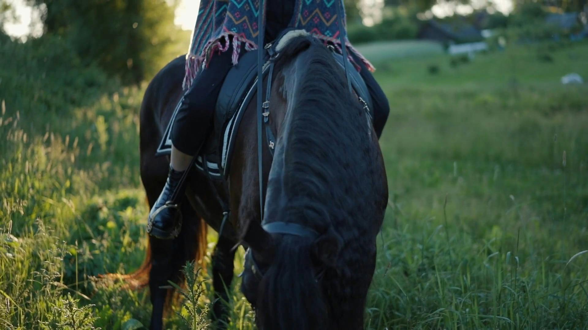 A Woman Riding a Black Horse Free Stock Video Footage, Royalty-Free 4K ...