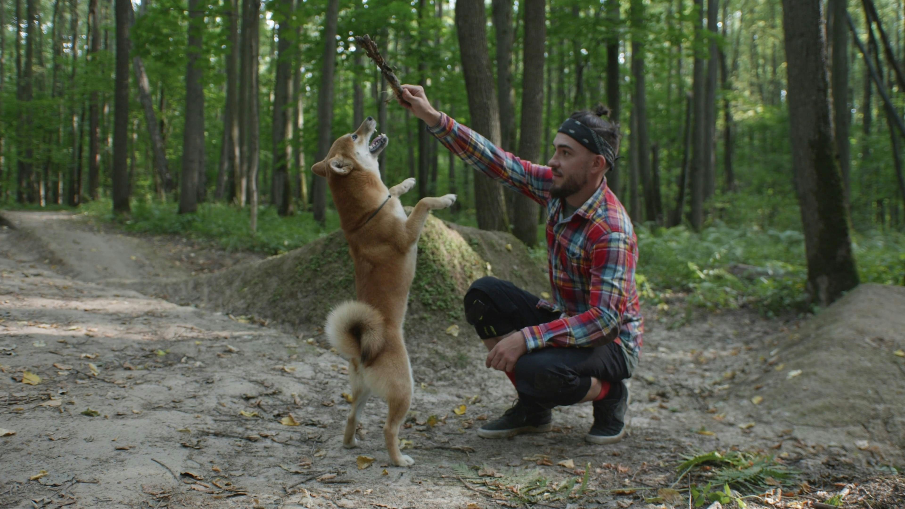 Fit Twig Videos, Download The BEST Free 4k Stock Video Footage & Fit ...