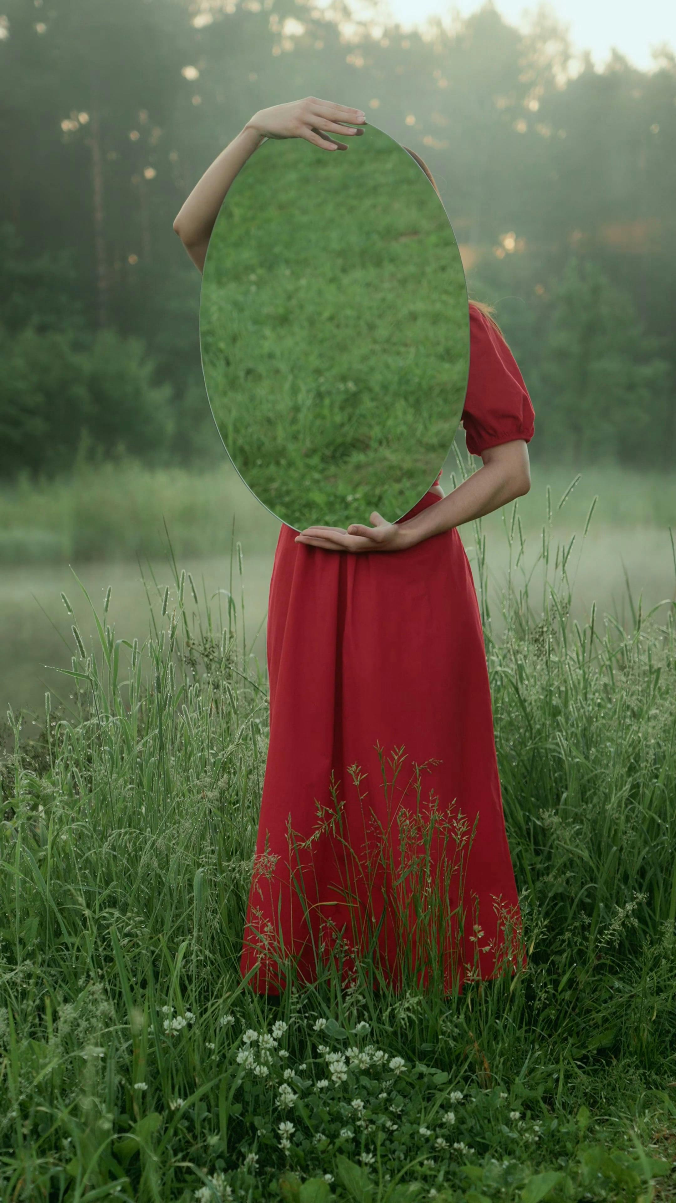 Forest Creative Videos, Download The BEST Free 4k Stock Video Footage ...