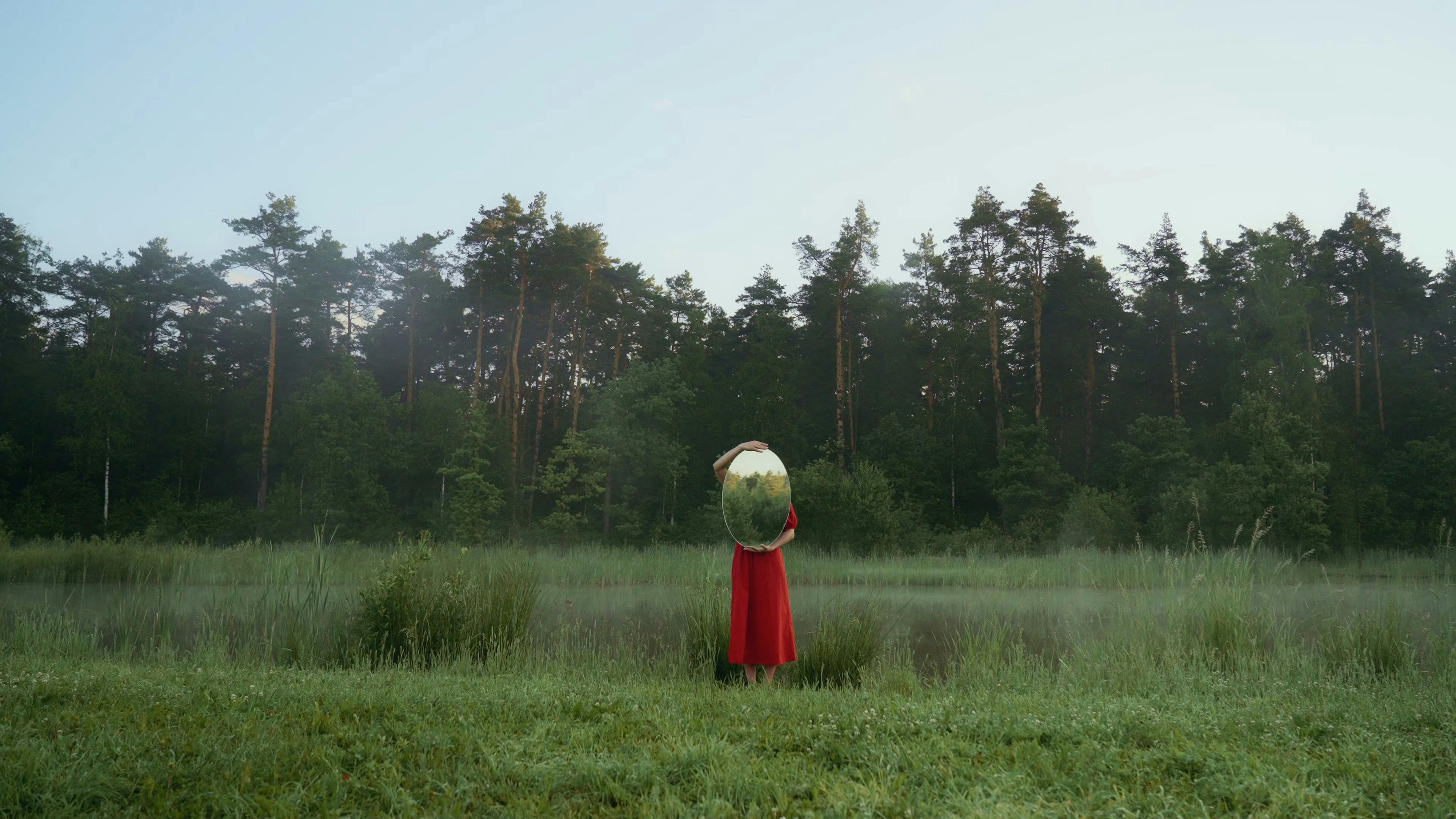 Contradiction Videos, Download The BEST Free 4k Stock Video Footage ...