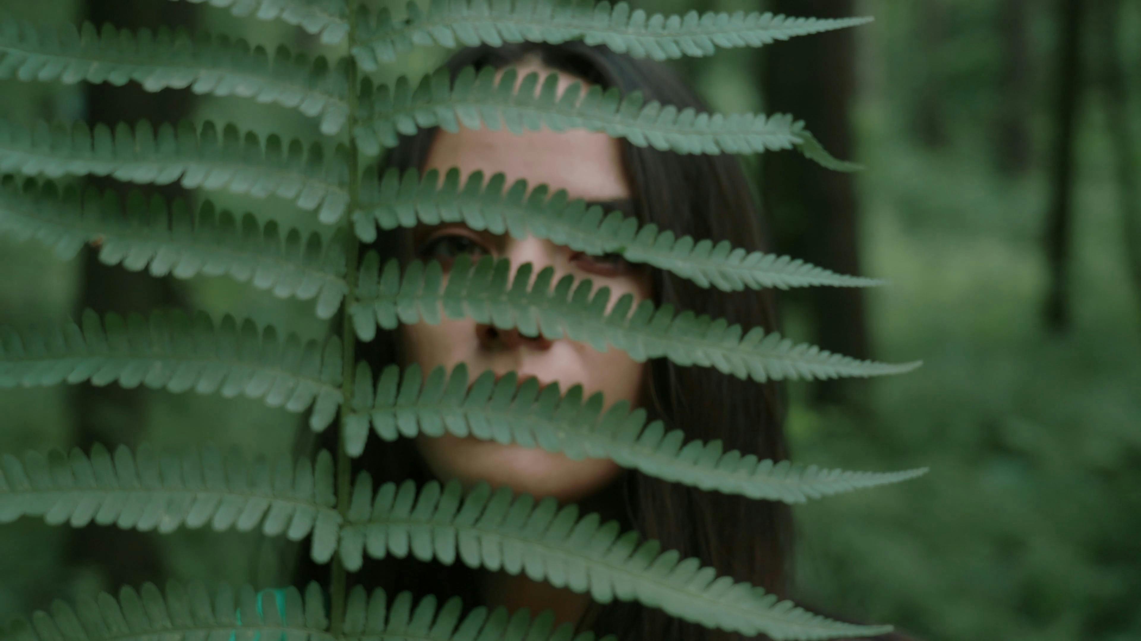 Woman Covering Her Face with Ferns Free Stock Video Footage, Royalty ...
