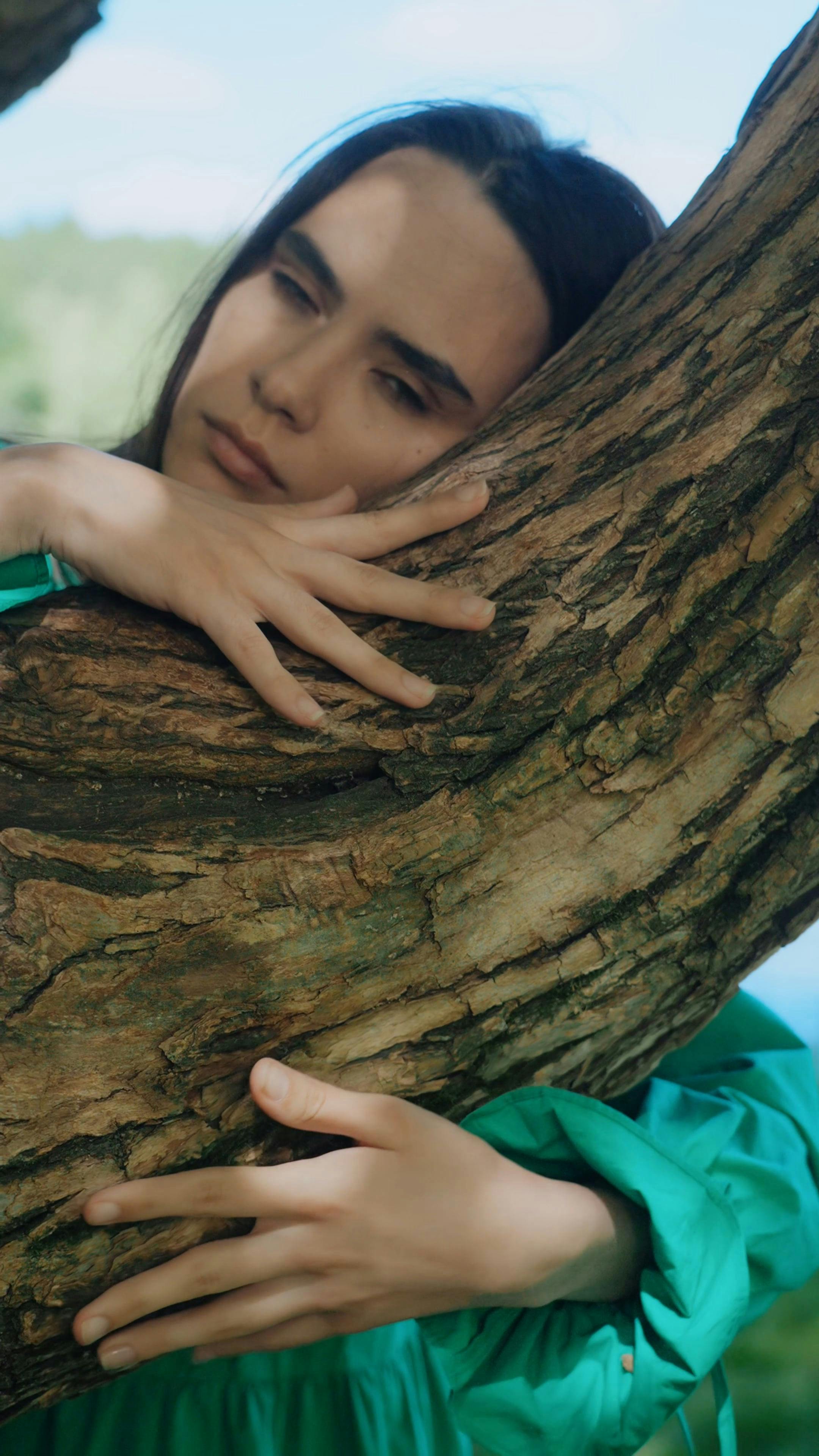 Person Touching a Tree Branch · Free Stock Video