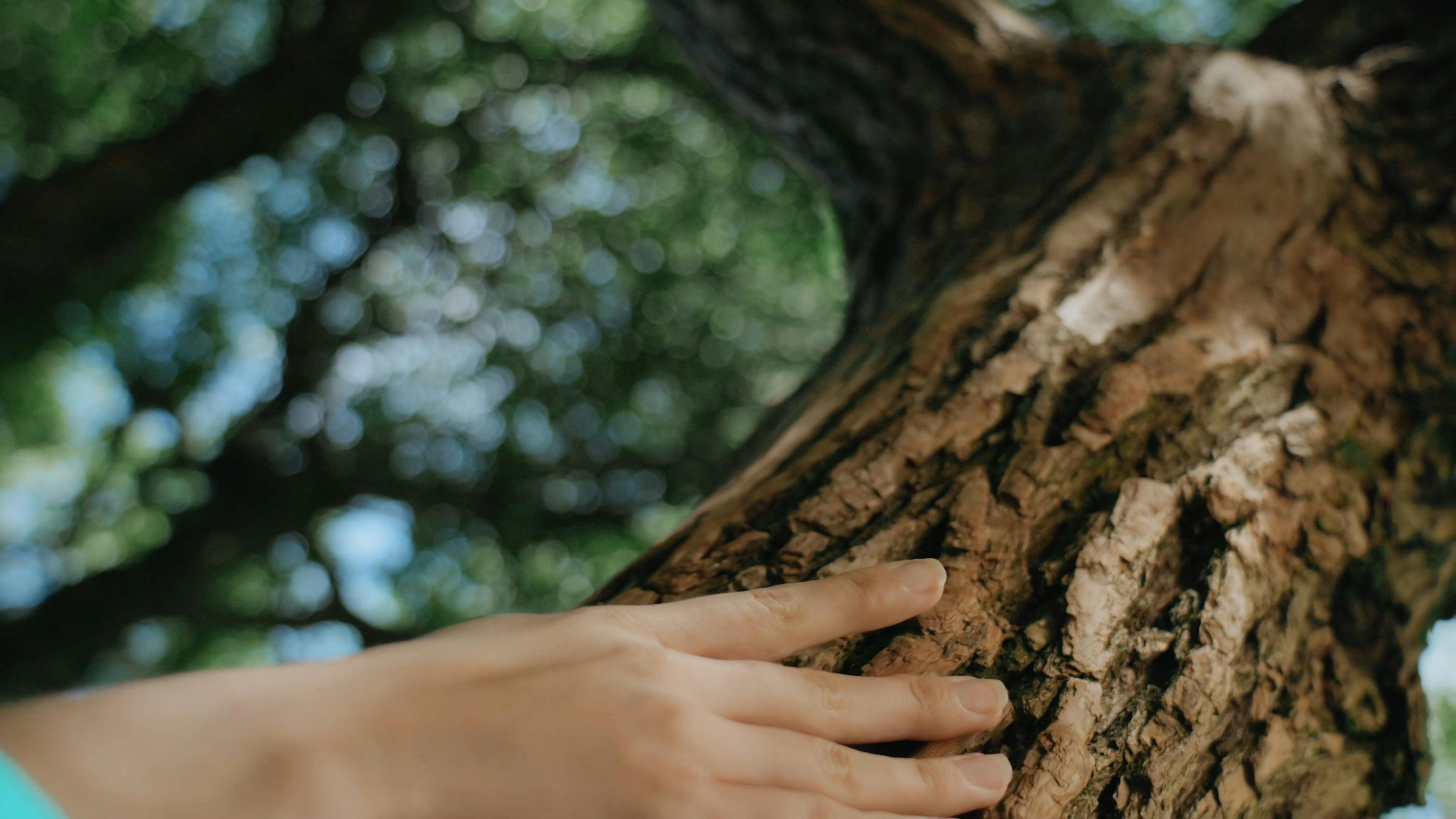 Environment Friendly Videos, Download The BEST Free 4k Stock Video ...