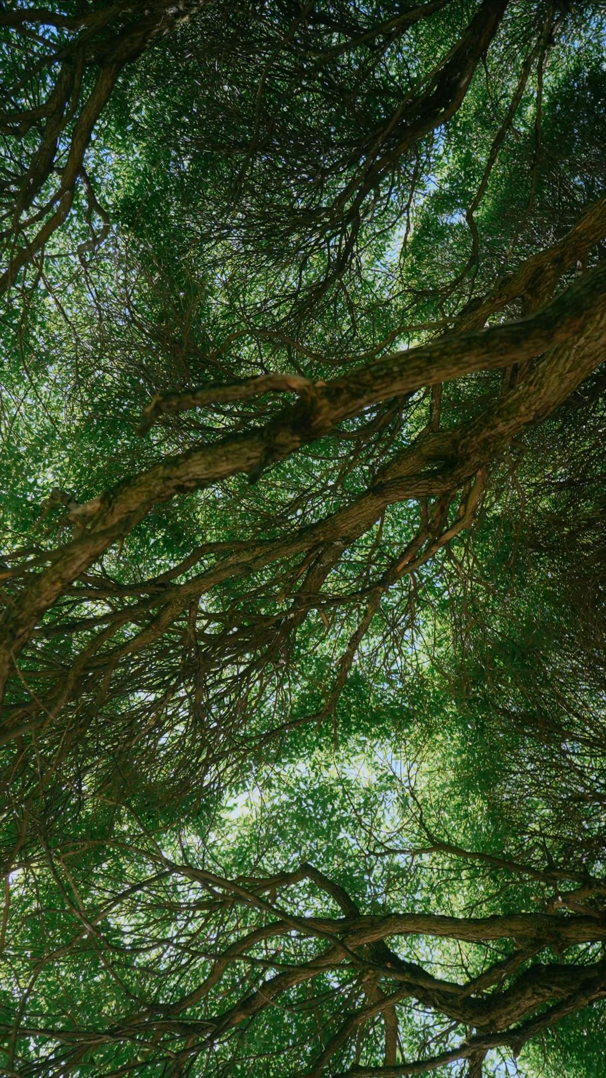 Hand Reaching Out Videos, Download The BEST Free 4k Stock Video Footage ...