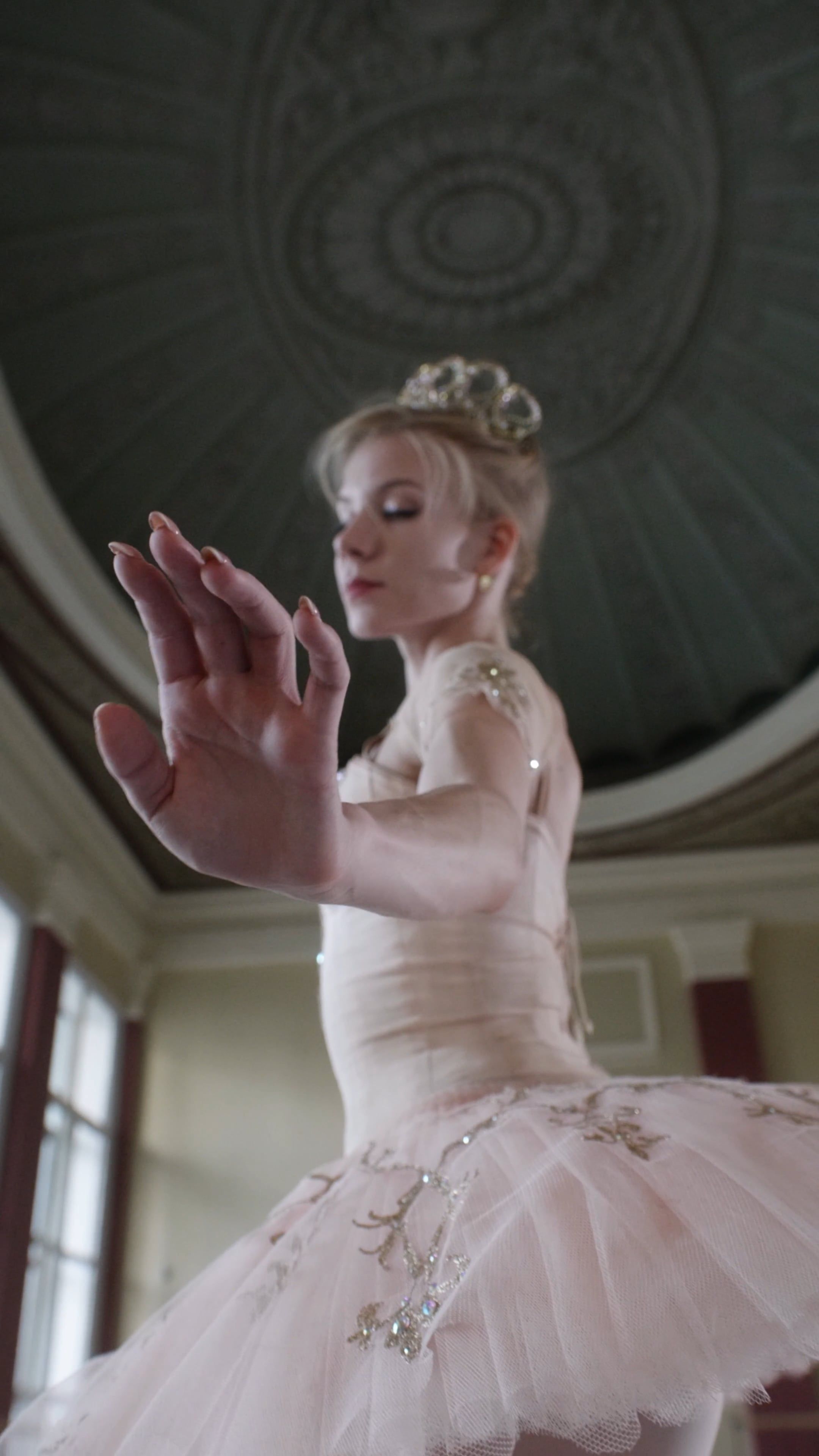 Overhead Shot of a Ballerina Dancing Free Stock Video Footage, Royalty ...