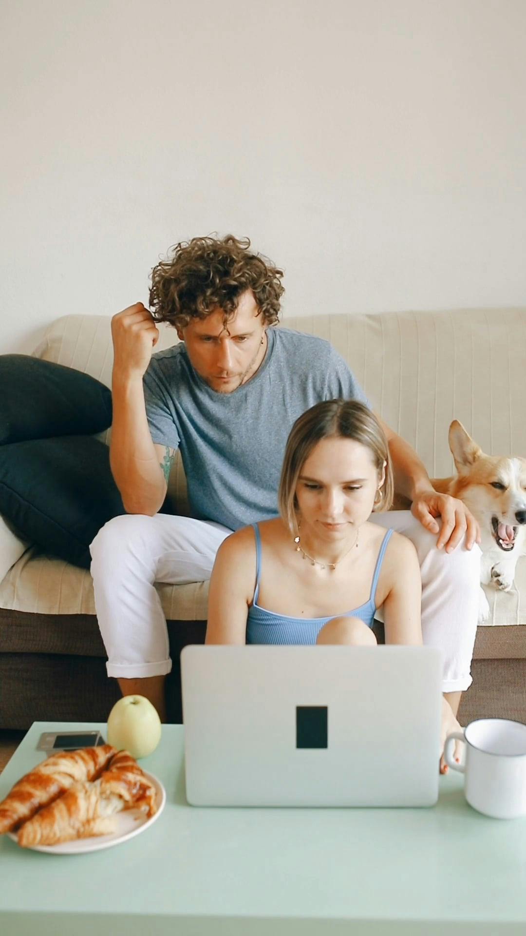 Dog Pineapple Videos, Download The BEST Free 4k Stock Video Footage & Dog Pineapple HD Video Clips