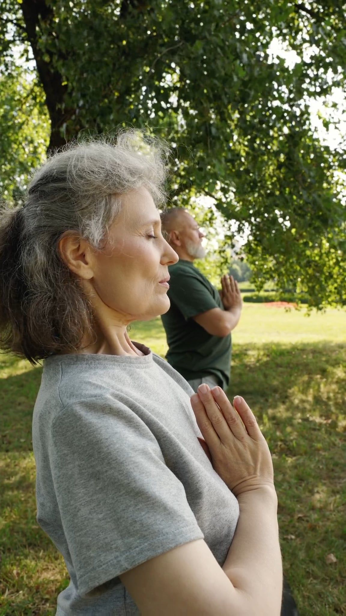 Side View of Elderly People Doing Yoga Free Stock Video Footage ...
