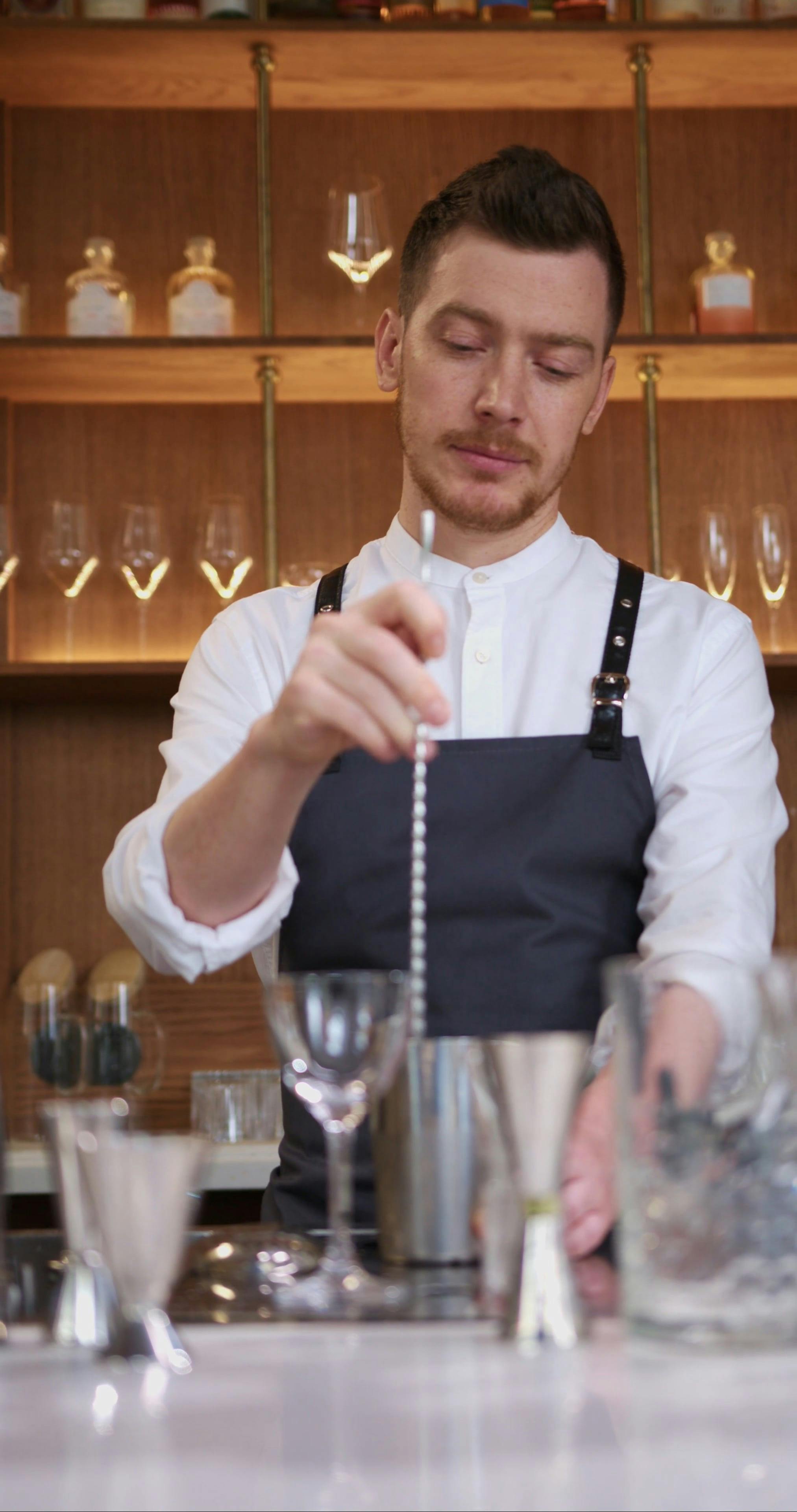 A Bartender Stirring a Shaker with Ice Free Stock Video Footage ...