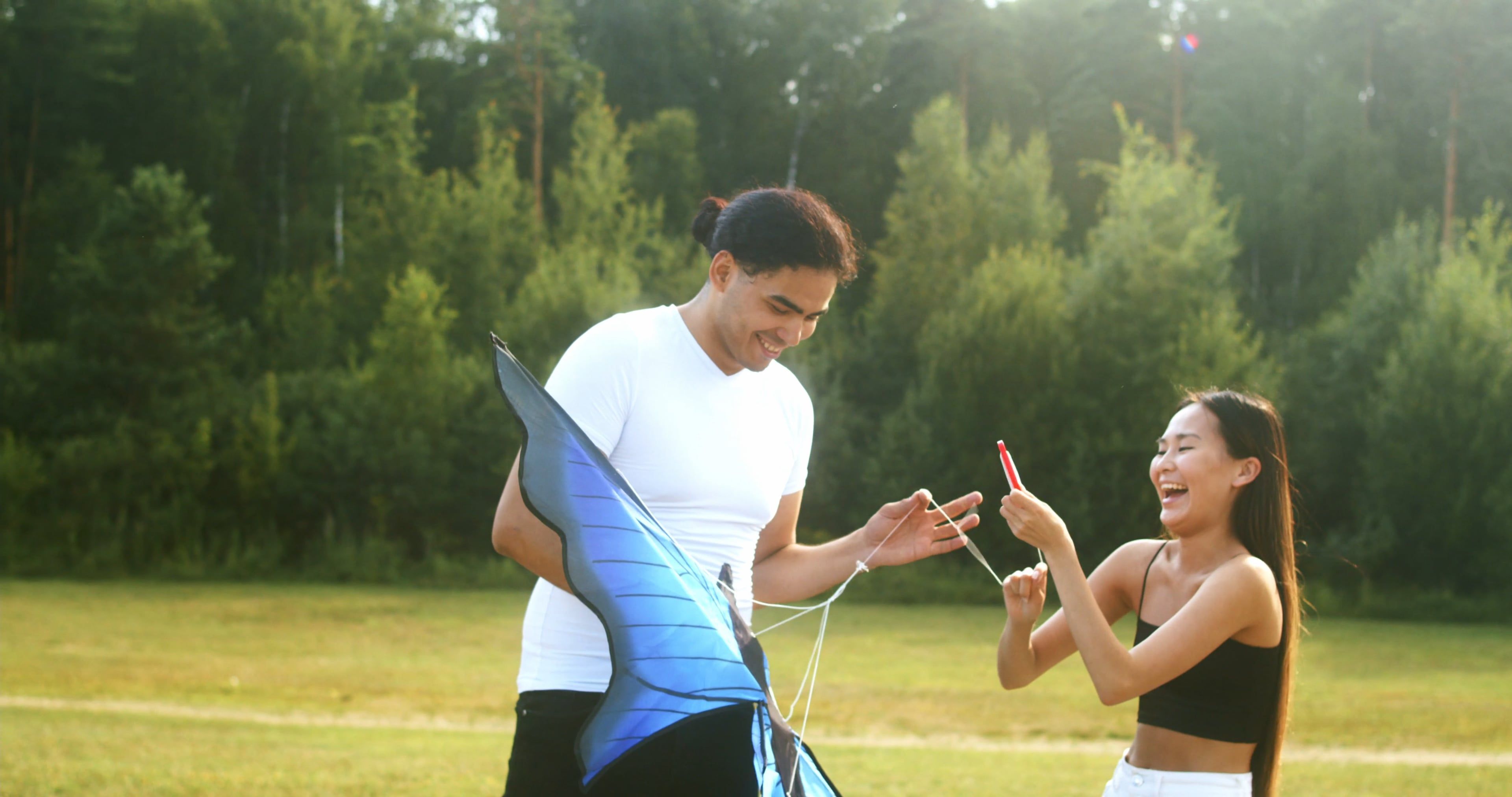 A Man and Woman Talking while Holding a Kite Free Stock Video Footage ...