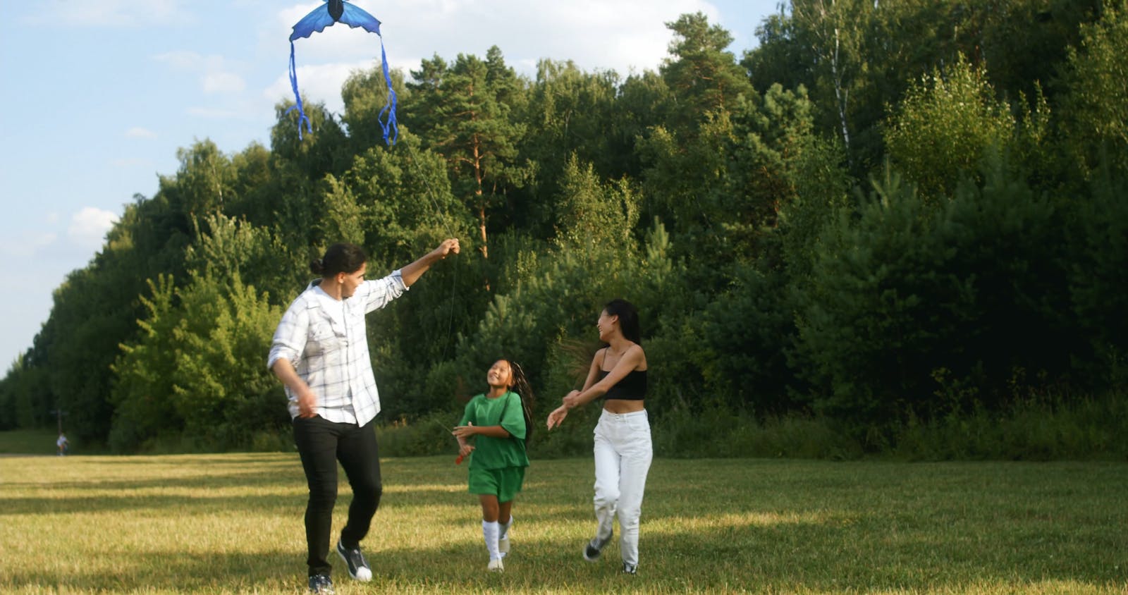 Kite Flying Videos, Download The BEST Free 4k Stock Video Footage ...