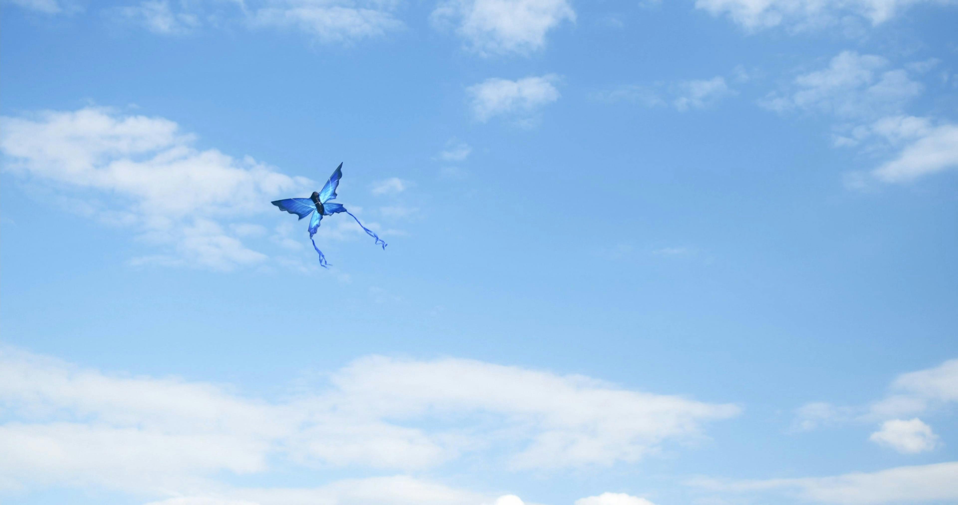 A Butterfly Kite Flying Free Stock Video Footage, Royalty-Free 4K & HD ...